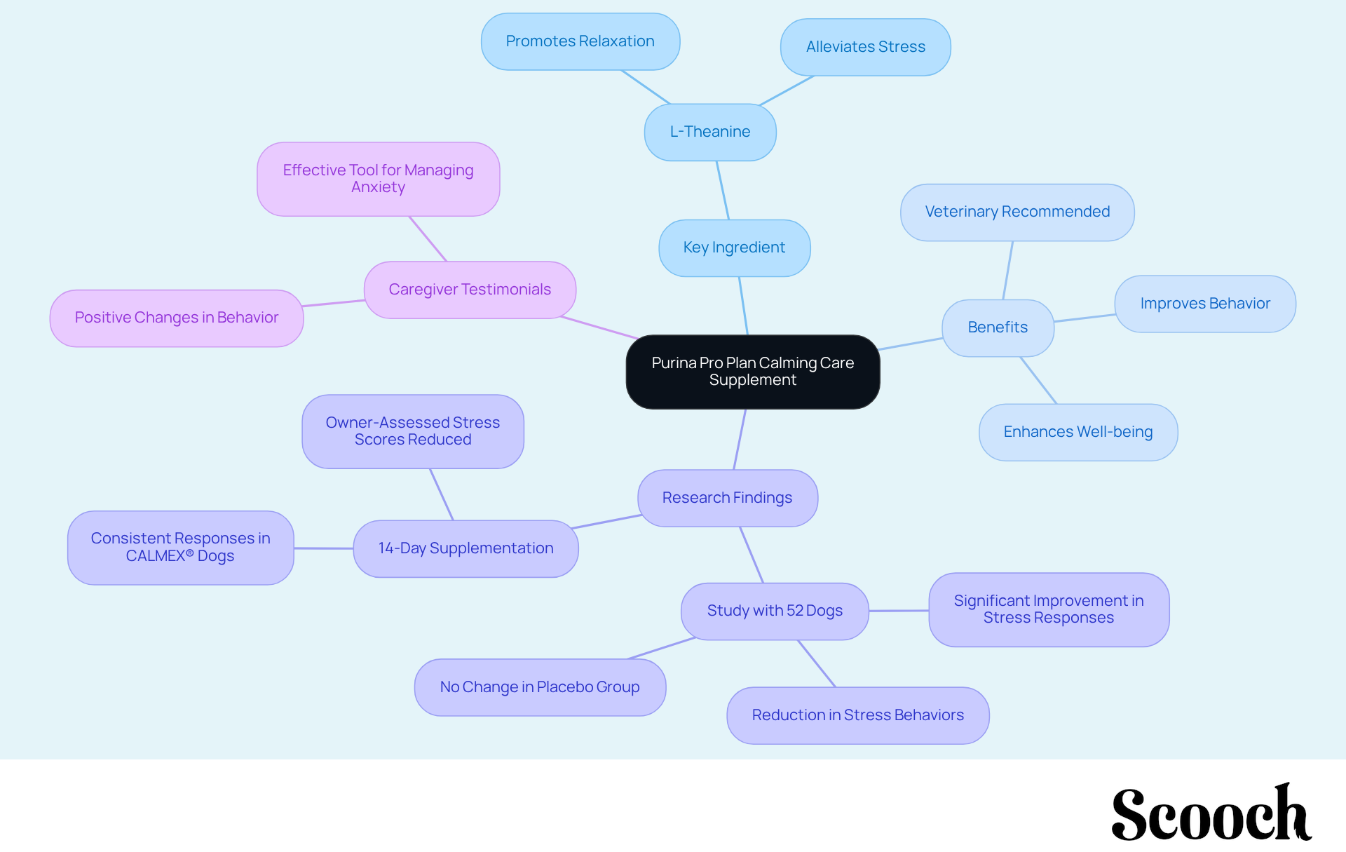 The center represents the supplement, and the branches show its important aspects. Each branch highlights a different area, helping you see how they all connect to support your dog's well-being. The center represents the supplement, and the branches show its important aspects. Each branch highlights a different area, helping you see how they all connect to support your dog's well-being.