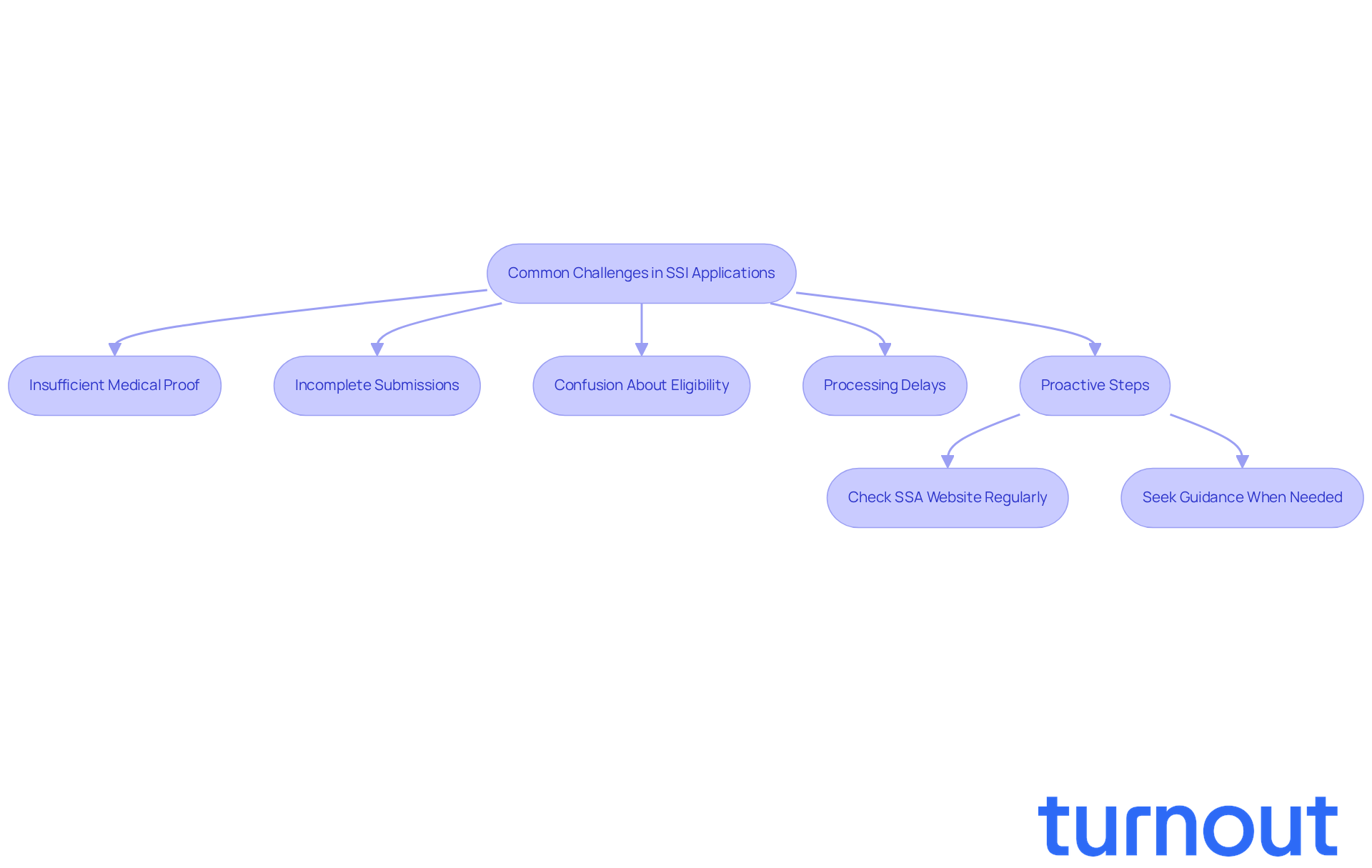 This flowchart shows the common challenges faced during SSI applications and the steps you can take to overcome them. Follow the arrows to see how each challenge connects to proactive solutions.