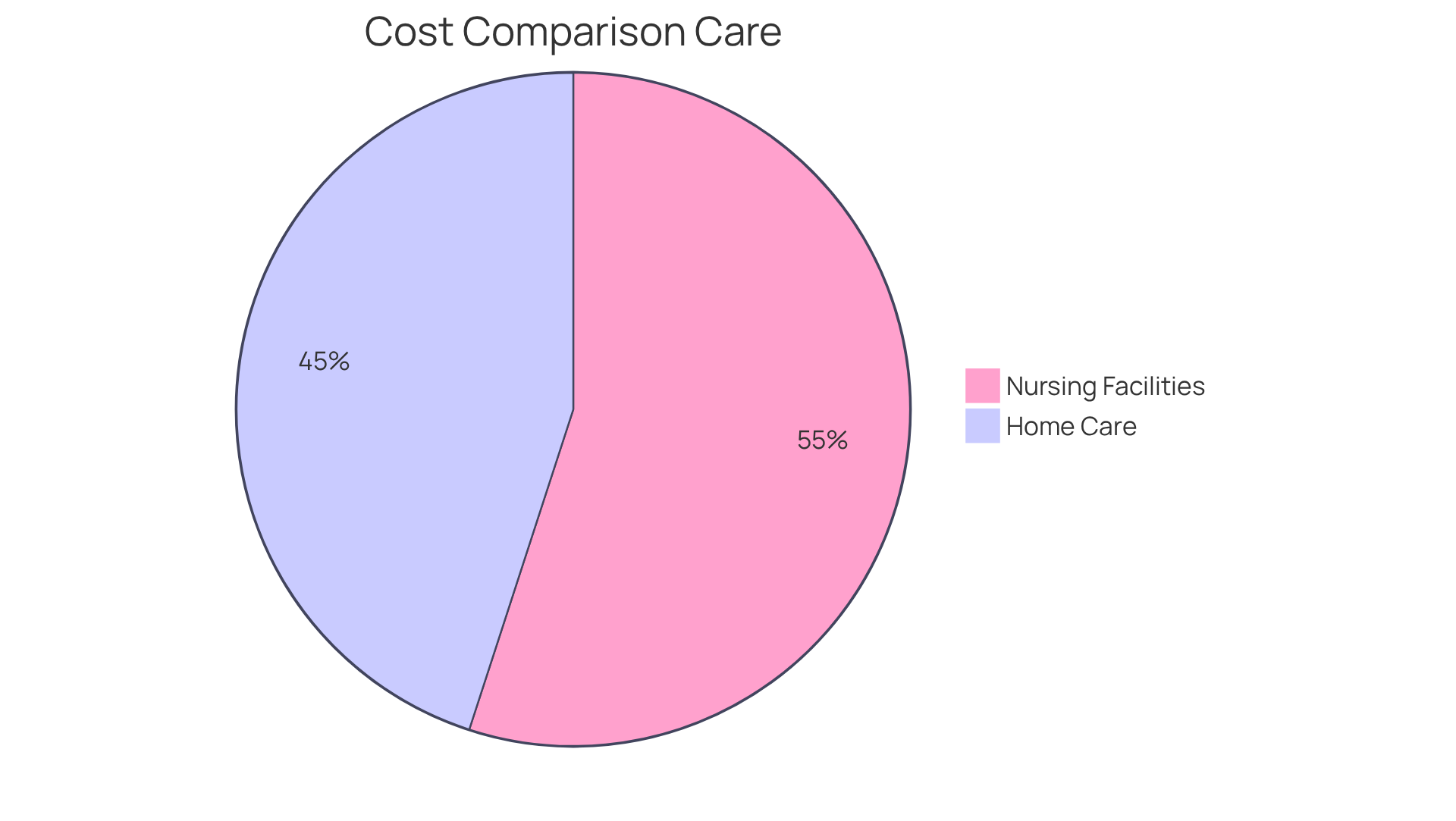 The chart shows the cost distribution between private pay home care and traditional nursing facilities. The larger segment represents the higher costs of nursing facilities, while the smaller segment indicates the more economical option of home care services.