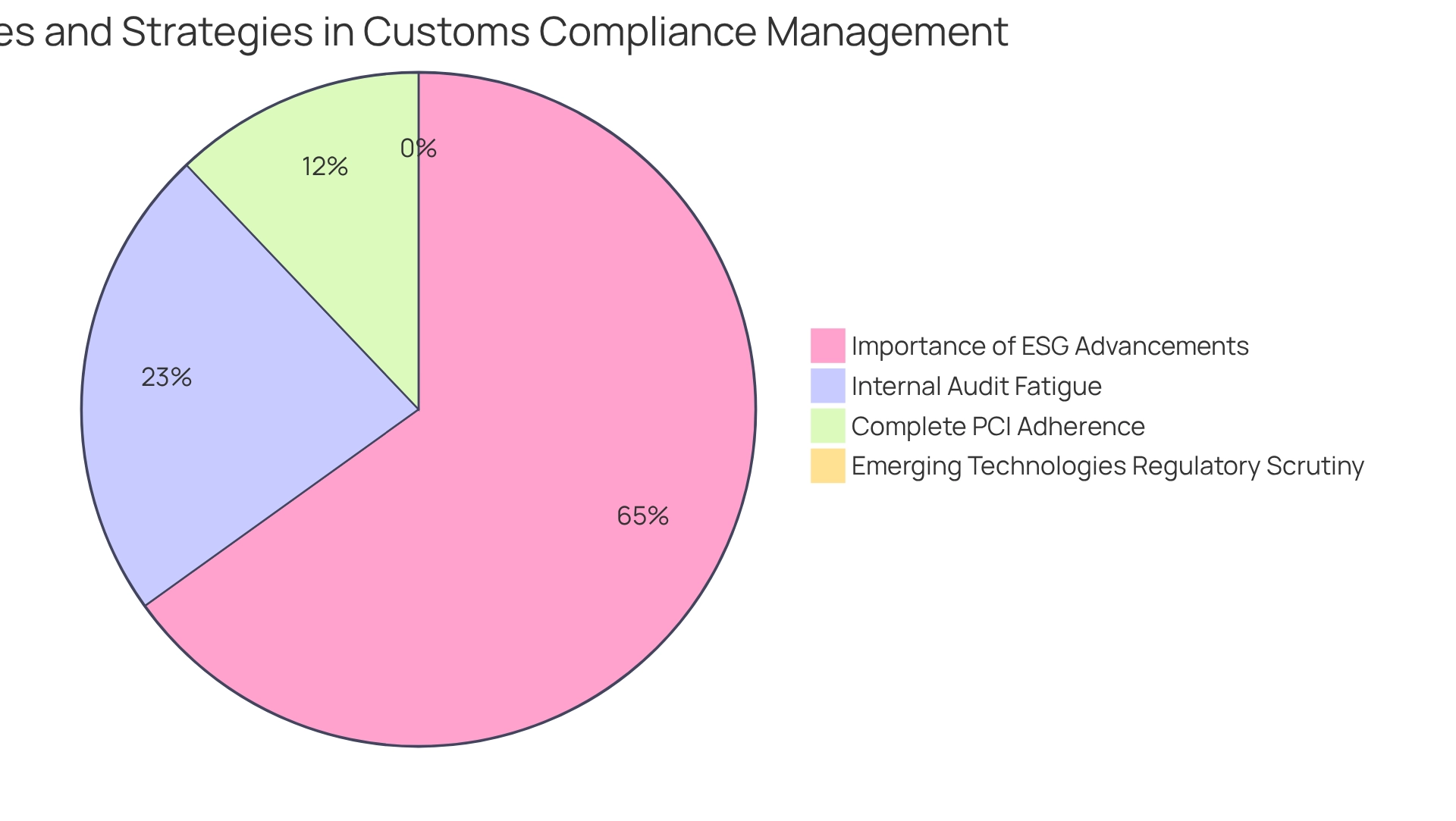 Each slice represents a key challenge or strategy in customs compliance management, with sizes corresponding to their respective percentages.