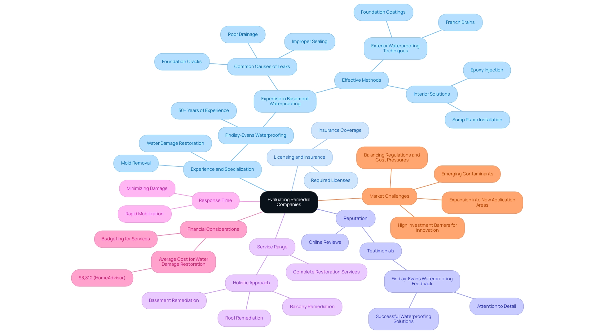 Each branch represents a key factor in evaluating remedial companies, with sub-branches providing additional details and examples related to each factor.