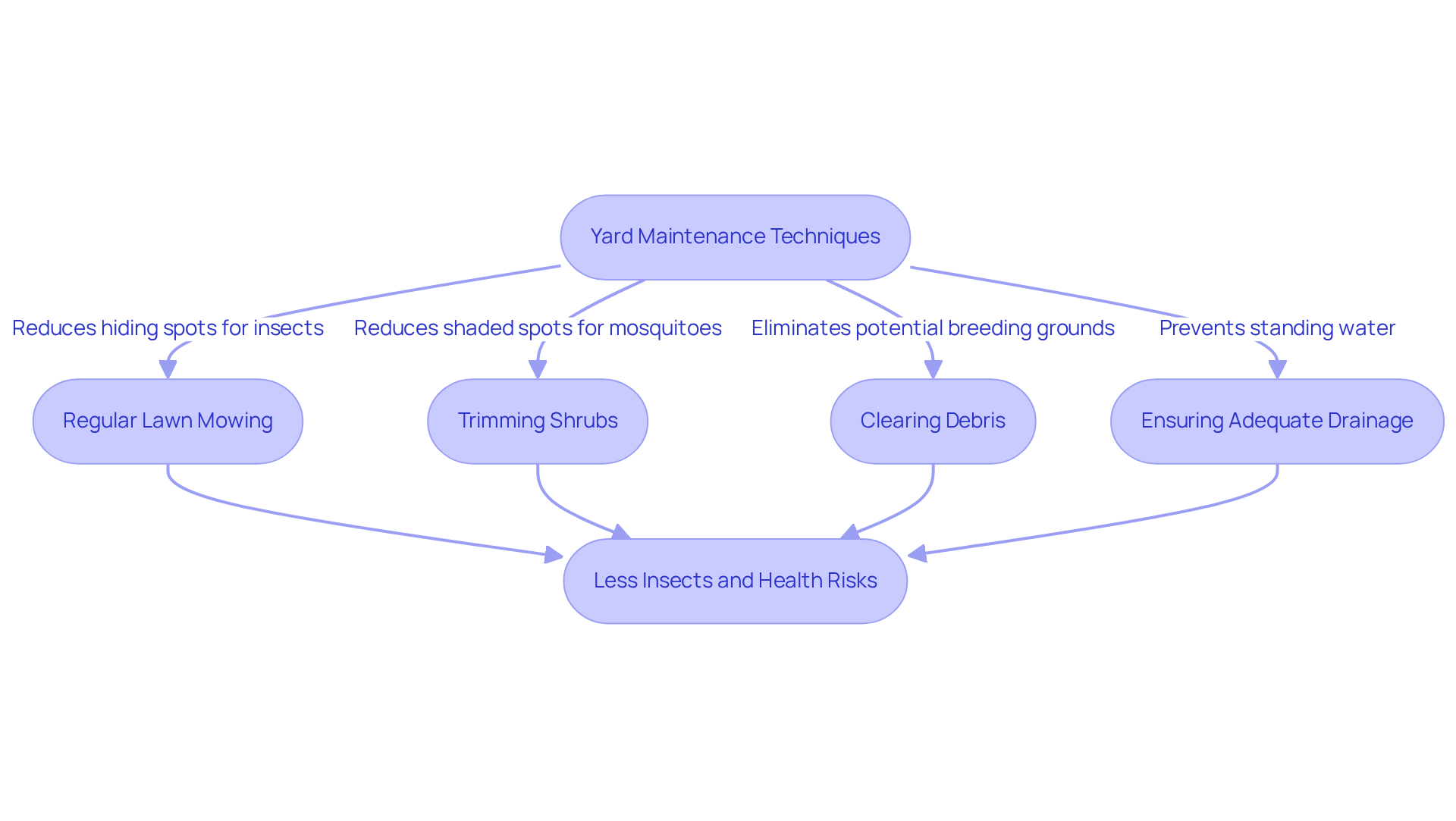 Follow the arrows to see how each maintenance action contributes to a tidy yard and helps keep pesky insects away. Each step is important for creating a safe and enjoyable outdoor space. Follow the arrows to see how each maintenance action contributes to a tidy yard and helps keep pesky insects away. Each step is important for creating a safe and enjoyable outdoor space.