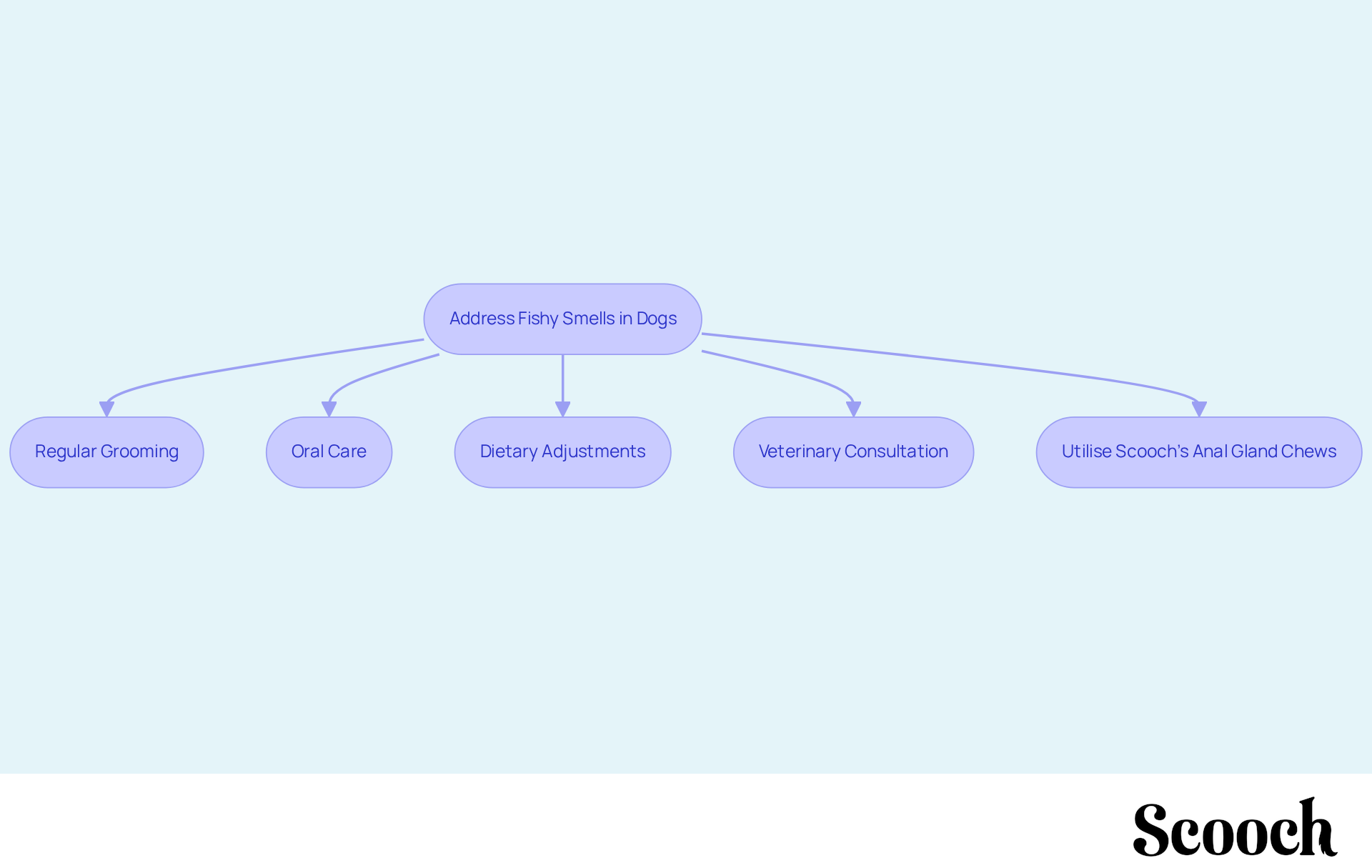 Each box represents a strategy you can take to help your dog smell fresh. Follow the arrows to see the order of steps you can take, starting from grooming to consulting a vet if needed. Each box represents a strategy you can take to help your dog smell fresh. Follow the arrows to see the order of steps you can take, starting from grooming to consulting a vet if needed.