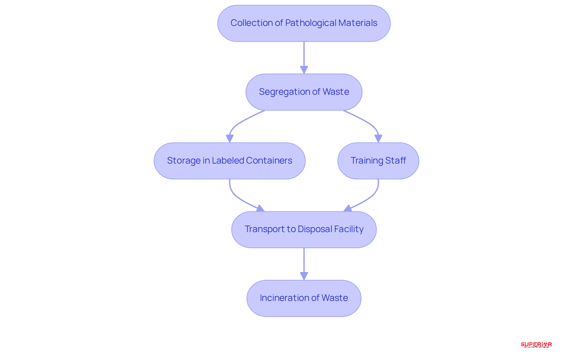 This flowchart shows the steps healthcare facilities should take to manage pathological waste safely. Start at the top with collection, and follow the arrows down through segregation, storage, training, and transport, ending with incineration. Each step is crucial for ensuring safety and compliance with health regulations.