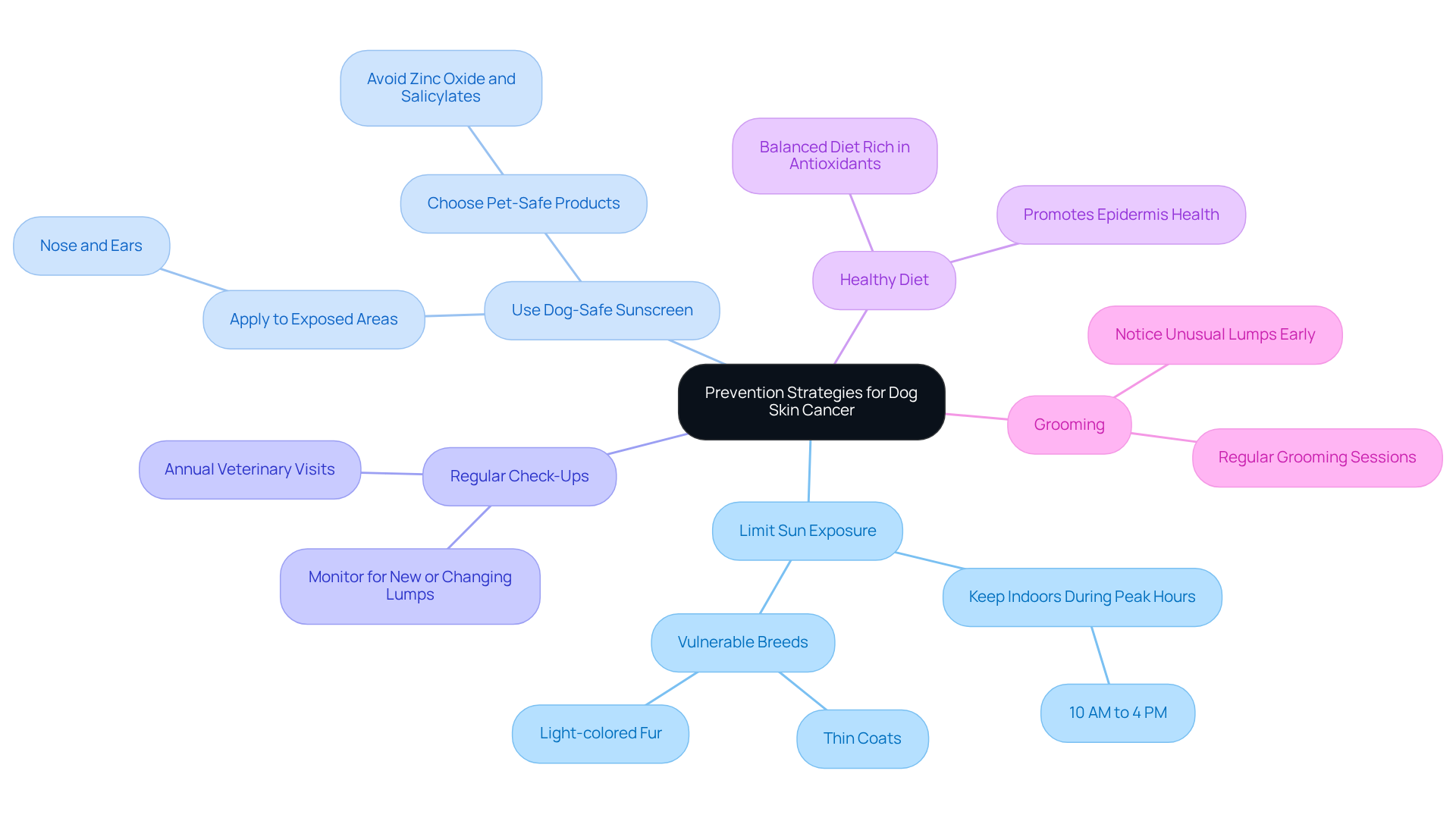 At the center is the main topic of preventing dog skin cancer. Each branch represents a specific strategy—follow them to see the details and why each action is important for your dog's health.