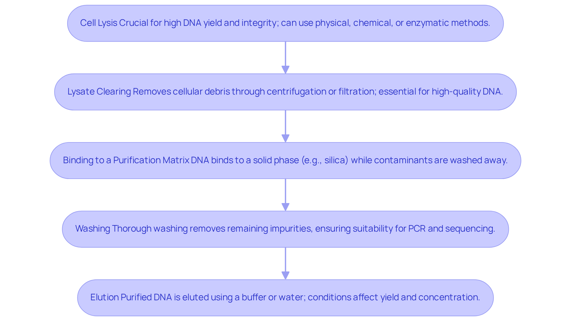 Each box represents a critical step in isolating genomic DNA. Follow the arrows to see how each step leads to the next, ensuring high-quality DNA extraction for research.