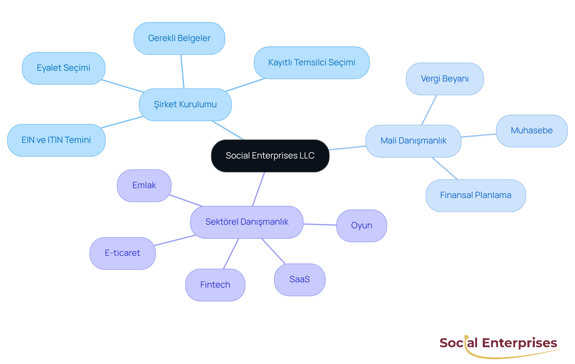 Merkezde Social Enterprises LLC var. Dallar, şirketin sunduğu ana hizmetleri temsil ediyor. Her dalın altında ise, bu hizmetlerin detayları var. Renkli dallar, farklı hizmet alanlarını ayırt etmeye yardımcı oluyor. Merkezde Social Enterprises LLC var. Dallar, şirketin sunduğu ana hizmetleri temsil ediyor. Her dalın altında ise, bu hizmetlerin detayları var. Renkli dallar, farklı hizmet alanlarını ayırt etmeye yardımcı oluyor.