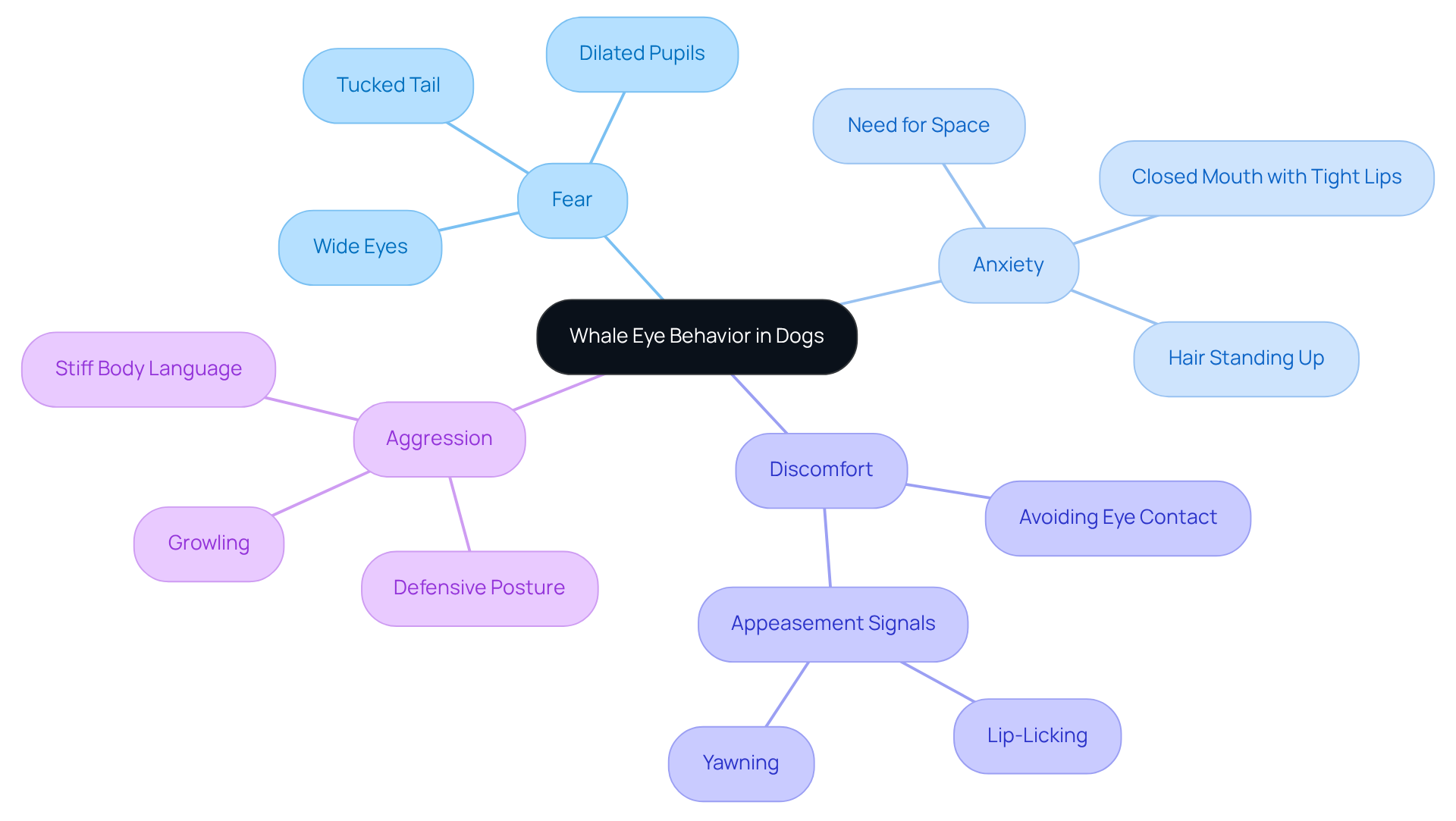 The central node represents the main topic of whale eye behavior. The branches show different emotional states dogs may exhibit, with further details explaining what each state means and how we can respond.