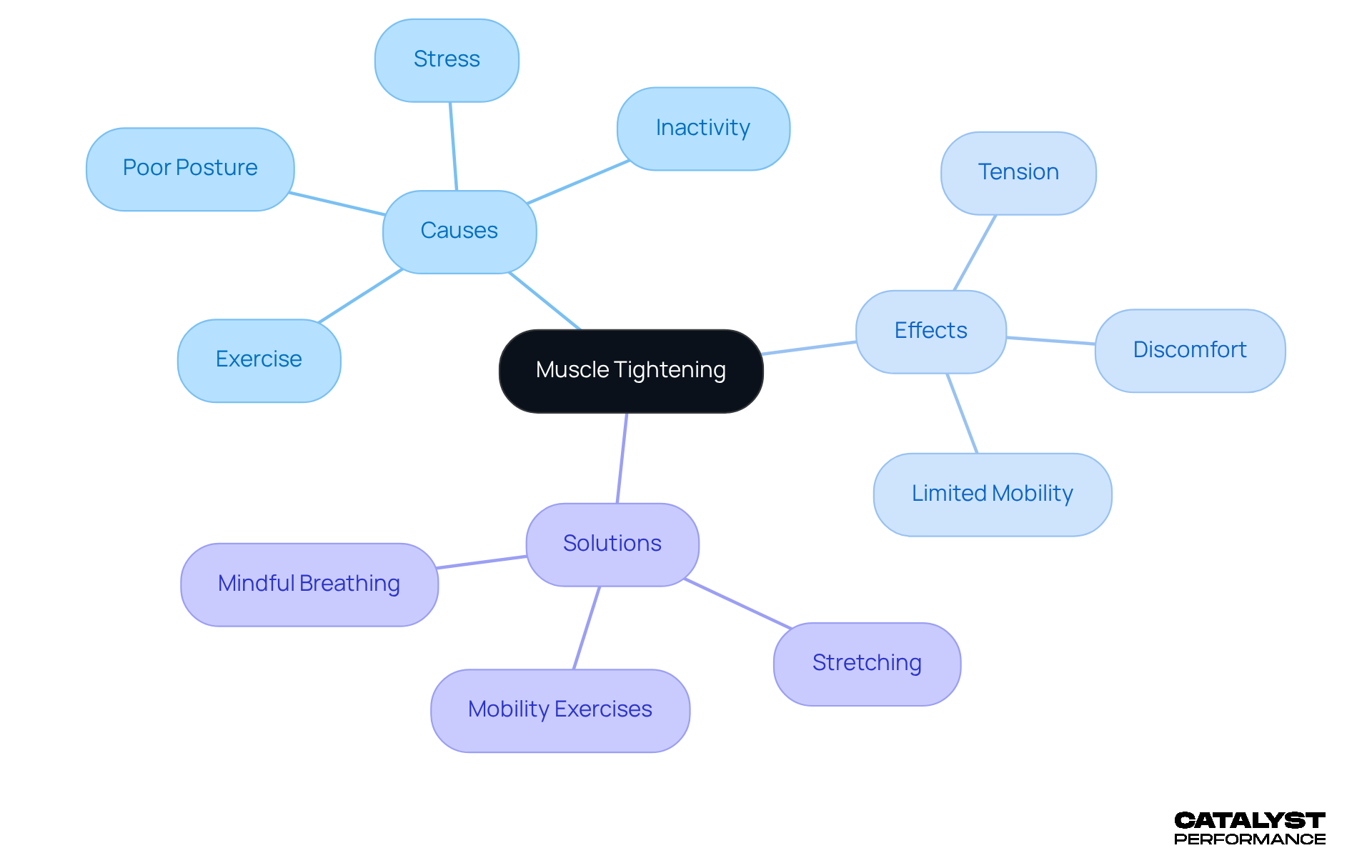 The central node represents the main topic of muscle tightening, while the branches show the various causes, effects, and solutions. Each color-coded branch helps you quickly identify related information.