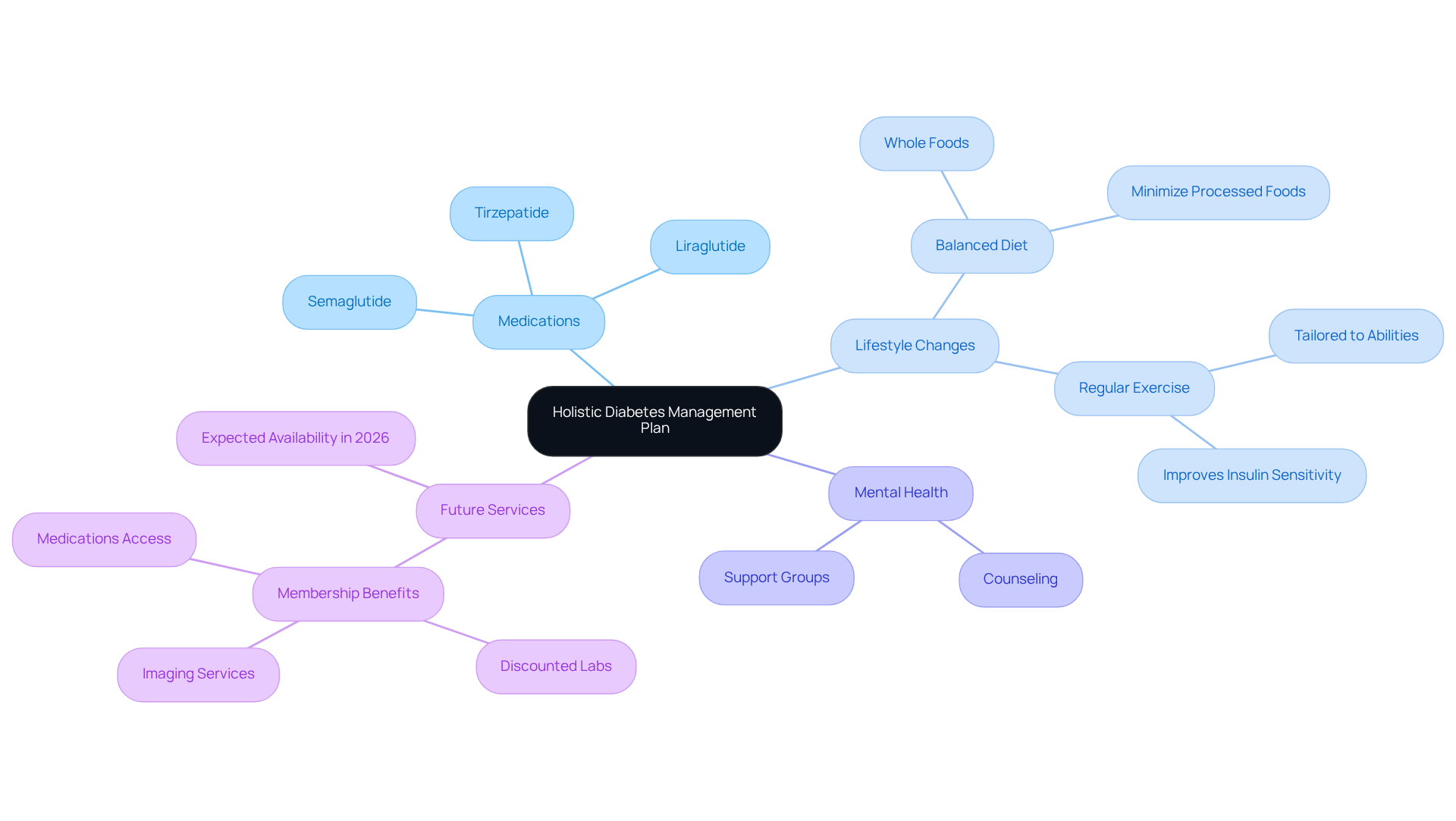 This mindmap shows how to manage diabetes holistically. Start at the center with the main plan, then explore each branch to see the medications, lifestyle changes, mental health support, and future services that can help you on your journey.