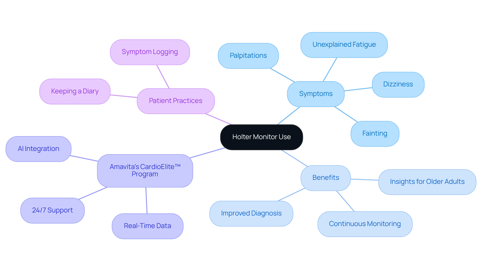 The center represents the main topic of Holter monitor use, while the branches show related symptoms, benefits, program features, and practices that enhance heart health management.