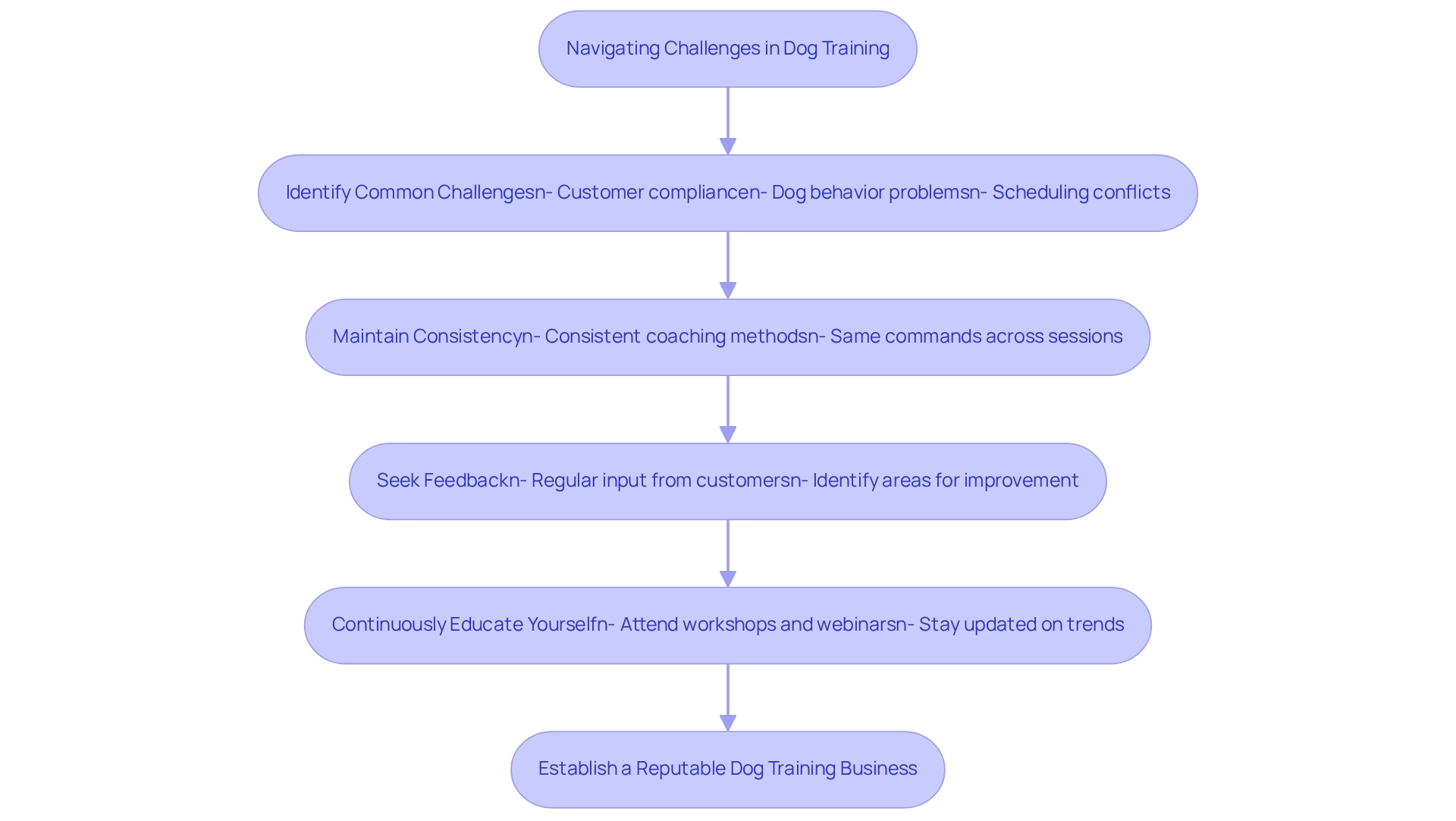 Each box represents a strategy to navigate challenges, with arrows indicating the flow from one strategy to the next. Each box represents a strategy to navigate challenges, with arrows indicating the flow from one strategy to the next.