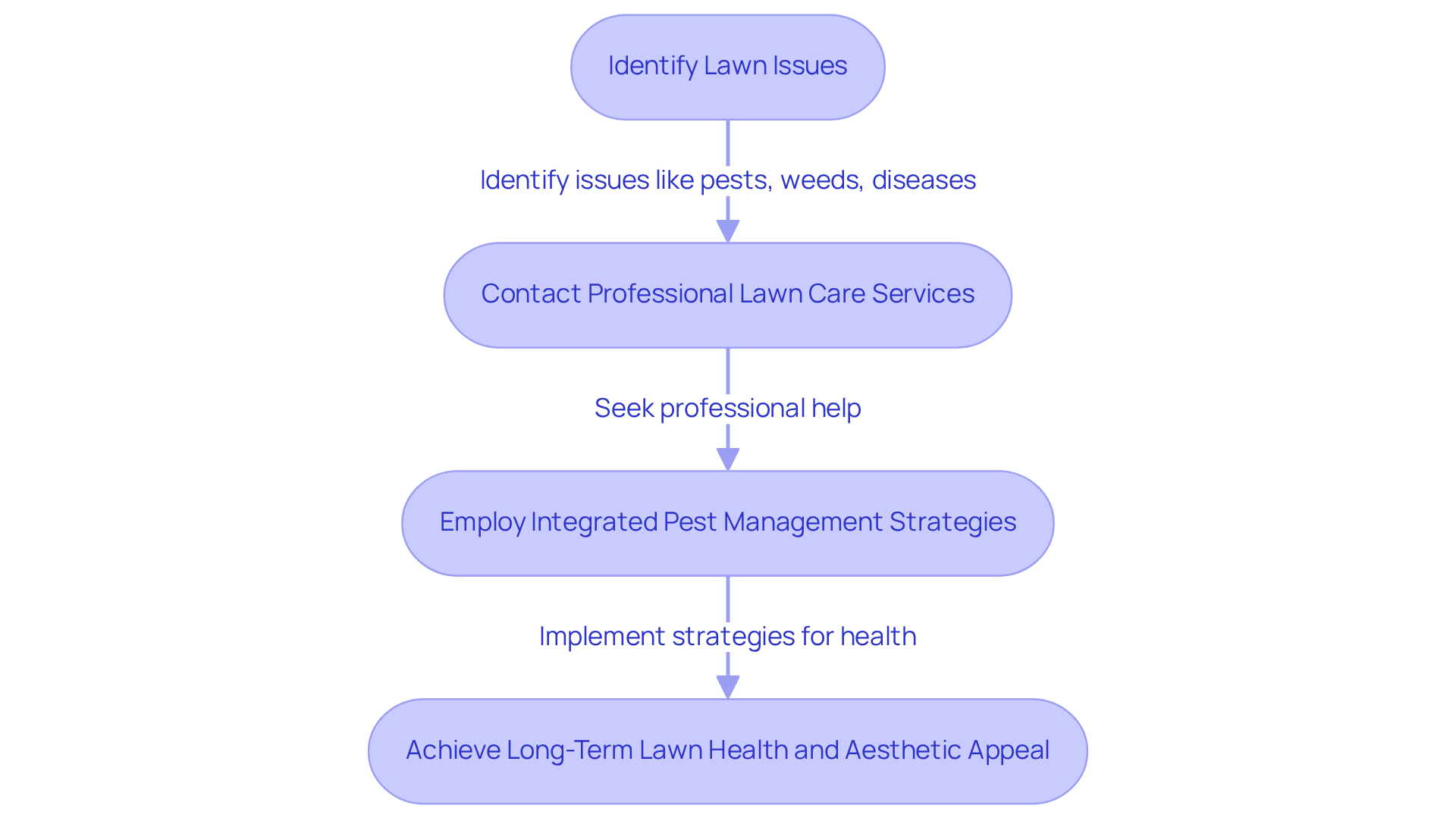 Follow the arrows to see how to manage lawn issues step-by-step, starting from identifying problems to achieving a healthy and beautiful yard.