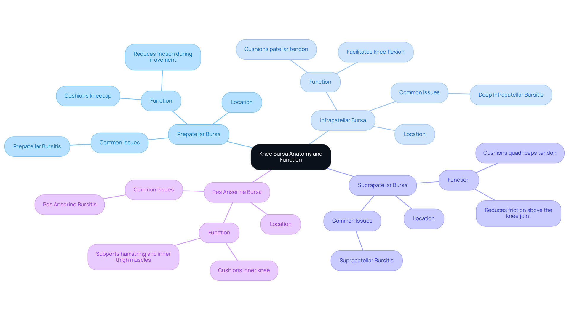 This mindmap starts with the knee bursa at the center and branches out to show the different types of bursae and their functions. Each branch represents a type of bursa, and the sub-branches explain how they help keep your knee healthy and pain-free. This mindmap starts with the knee bursa at the center and branches out to show the different types of bursae and their functions. Each branch represents a type of bursa, and the sub-branches explain how they help keep your knee healthy and pain-free.