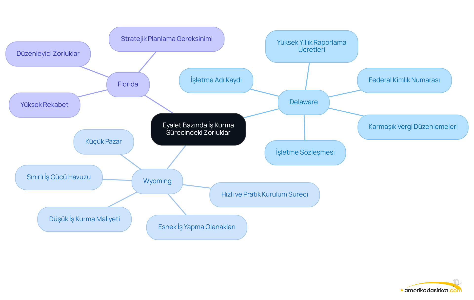 Merkezdeki başlık, tüm eyaletlerin iş kurma sürecindeki zorlukları kapsıyor. Dallar, her eyaletin karşılaştığı spesifik zorlukları ve fırsatları gösteriyor. Her dalın altında yer alan bilgiler, girişimcilerin hangi eyaletin kendileri için daha uygun olduğunu anlamalarına yardımcı olacak.