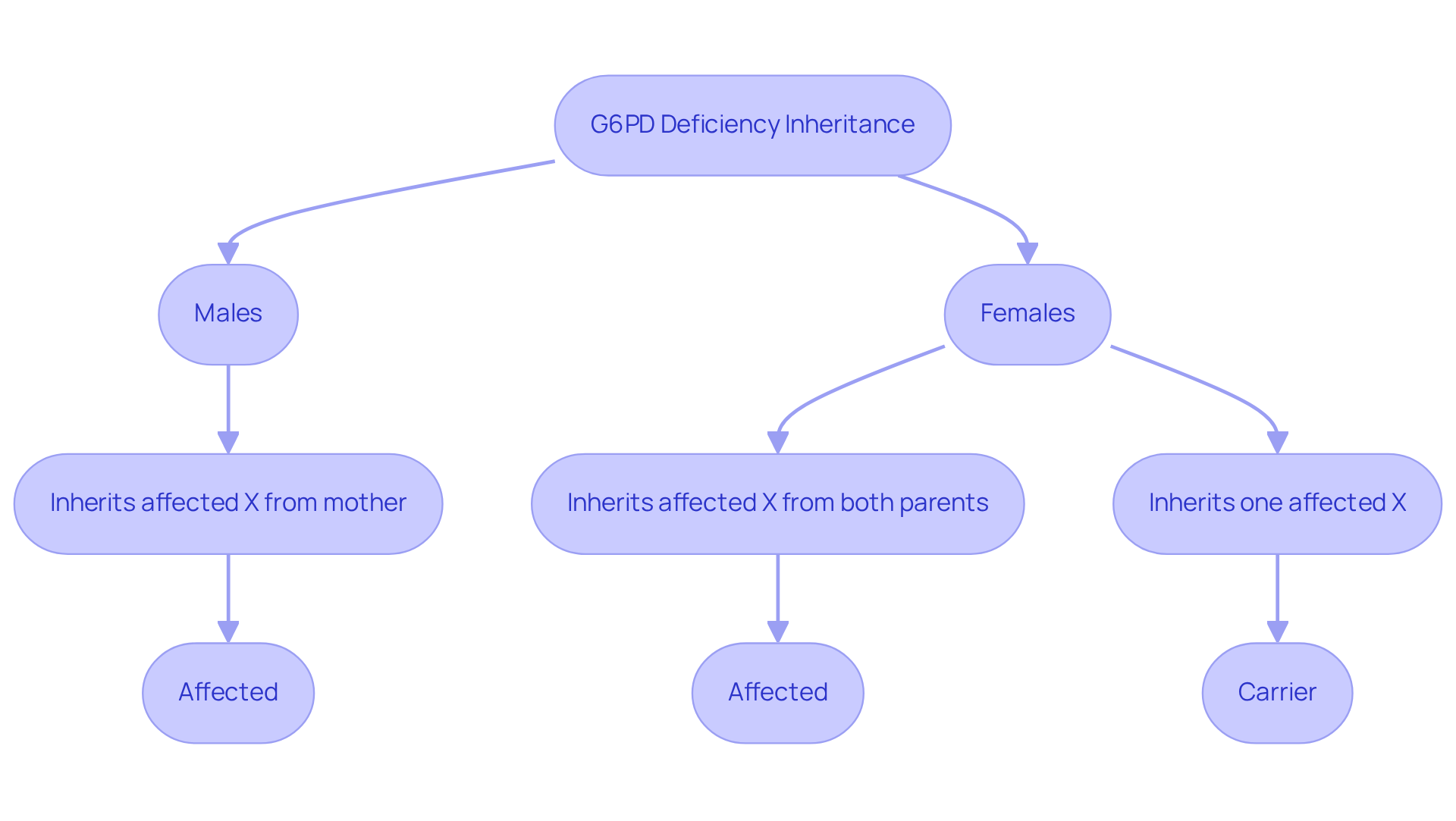 This flowchart illustrates how G6PD deficiency is inherited. Males inherit the affected gene from their mothers and are affected, while females need to inherit it from both parents to be affected. If a female inherits just one affected gene, she becomes a carrier. The arrows show how the gene is passed down through generations. This flowchart illustrates how G6PD deficiency is inherited. Males inherit the affected gene from their mothers and are affected, while females need to inherit it from both parents to be affected. If a female inherits just one affected gene, she becomes a carrier. The arrows show how the gene is passed down through generations.