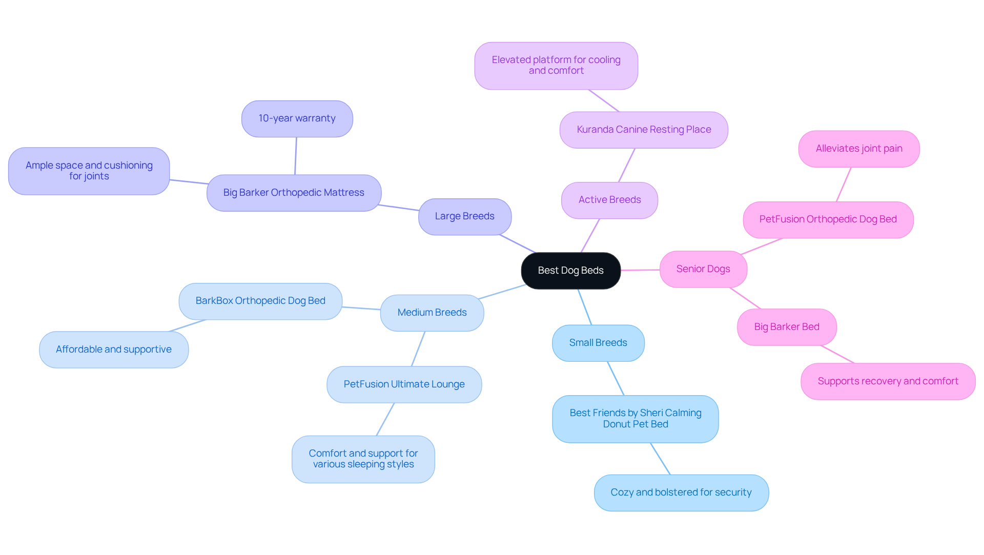 The central node represents the overall concept of dog beds, with branches showing different sizes and needs. Each sub-branch reveals specific recommendations, making it easy to understand which bed suits which type of dog.