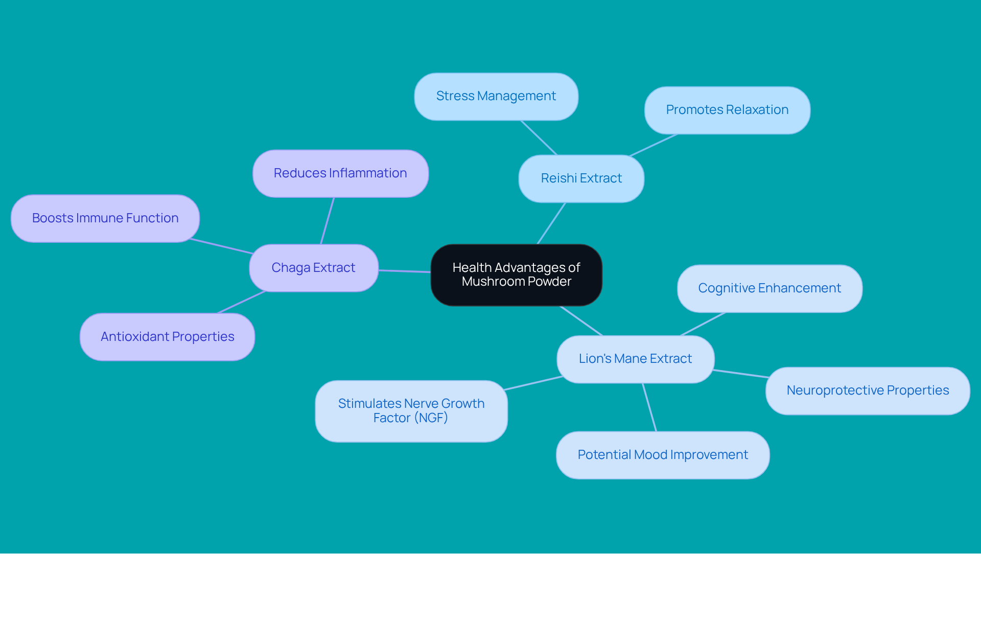 The central node represents the overall theme of wellness through mushroom powder, while each branch highlights a specific type of mushroom and its unique health benefits. Follow the branches to explore how each extract contributes to your health.