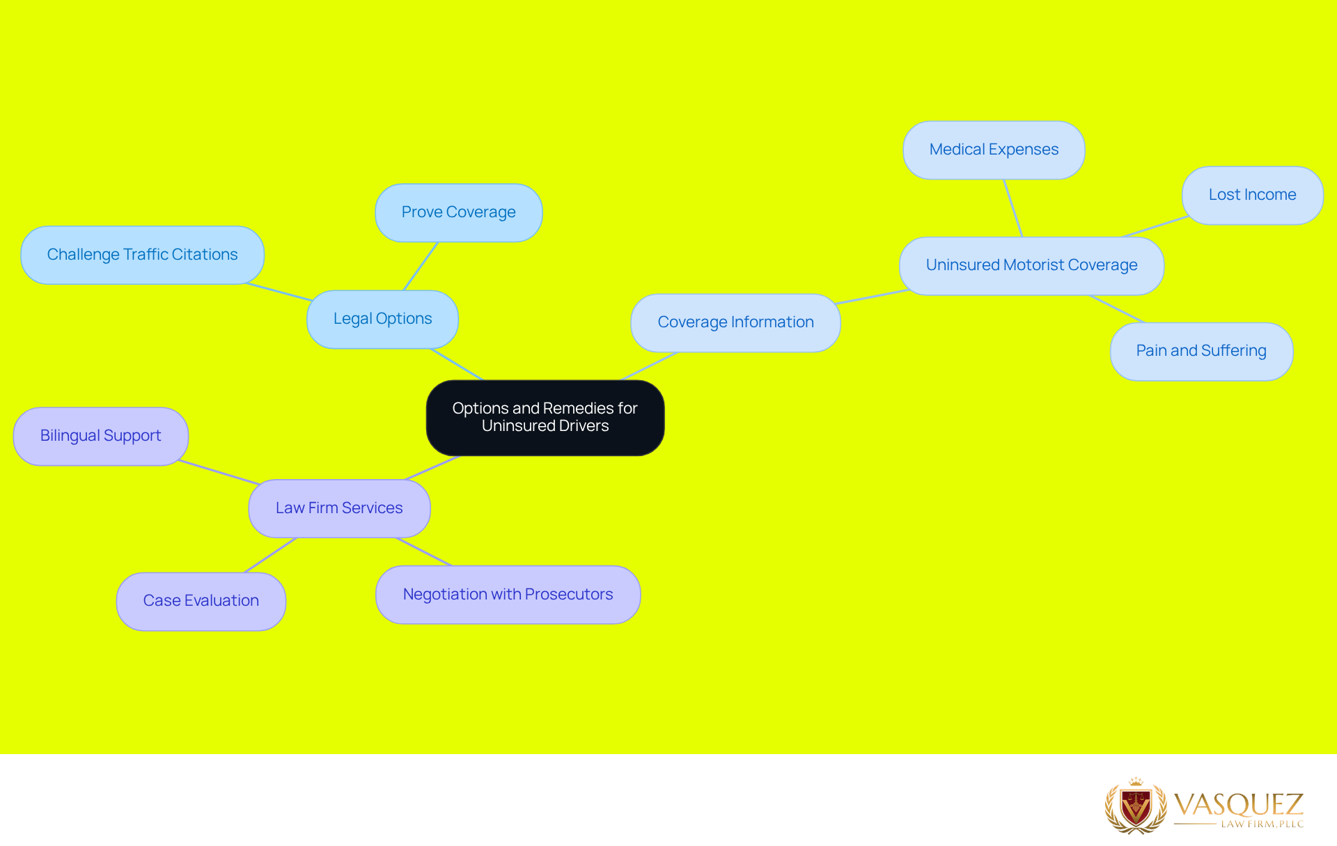 This mindmap shows the different paths you can take if you're an uninsured driver facing traffic issues. Start at the center to see your main options, then follow the branches to explore specific actions and support available to you.