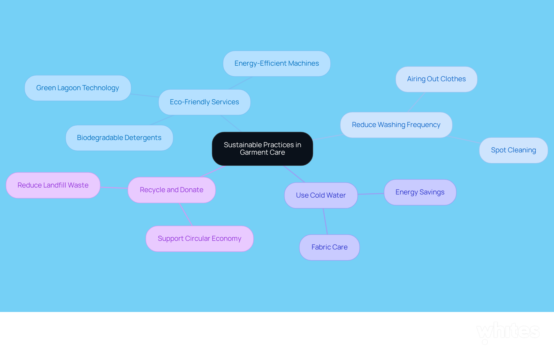 The center represents the main goal of sustainability in garment care, while the branches show different strategies you can adopt. Each color-coded branch highlights a specific approach to help you minimize your environmental impact.
