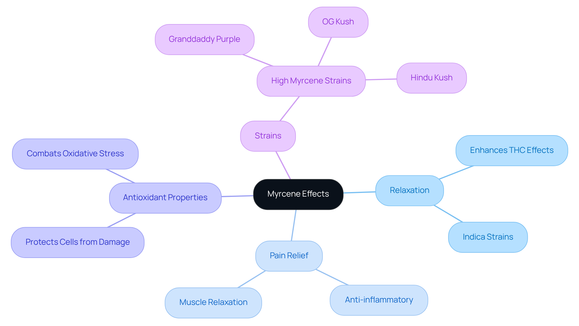This mindmap starts at the center with myrcene effects and branches out into key areas. Each branch represents a specific benefit, and the colors help distinguish between different categories of effects.