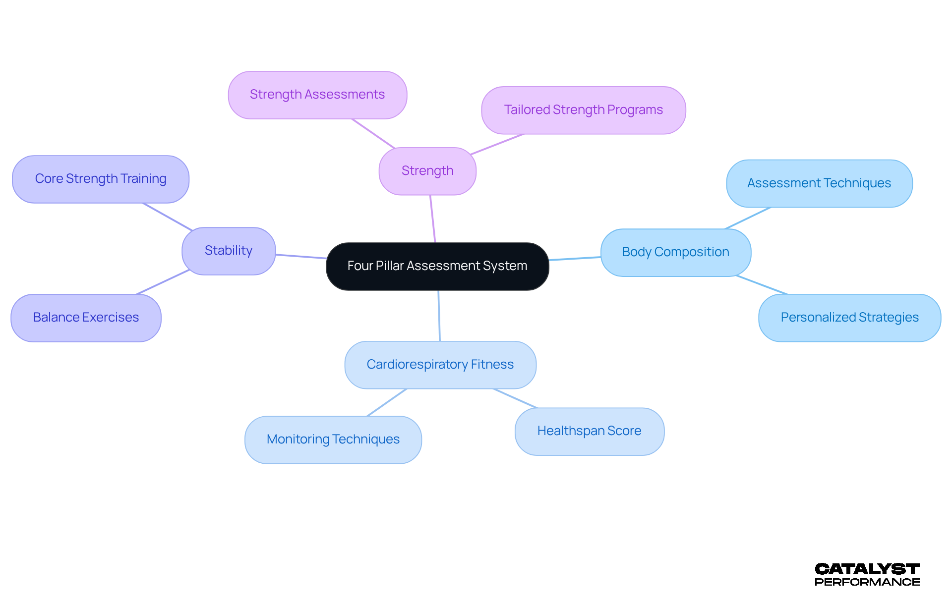 The central node represents the assessment system, while the branches show the four key areas of health evaluation. Each area can have its own strategies or assessments, illustrating how they work together to support personal fitness.