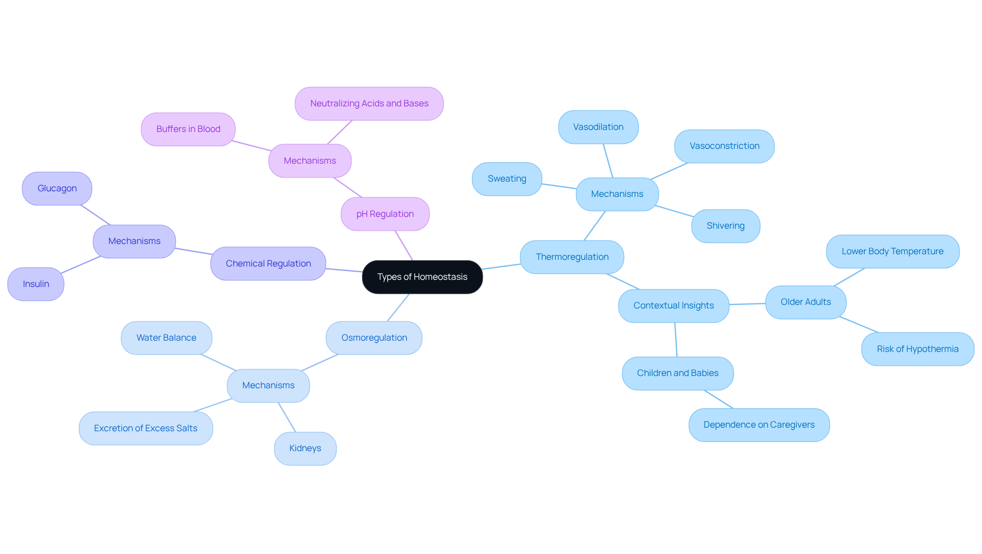 The central node represents the overall concept of homeostasis. Each branch shows a different type of regulation, and the sub-branches detail the specific mechanisms involved. This layout helps you see how various processes work together to maintain balance in living organisms.