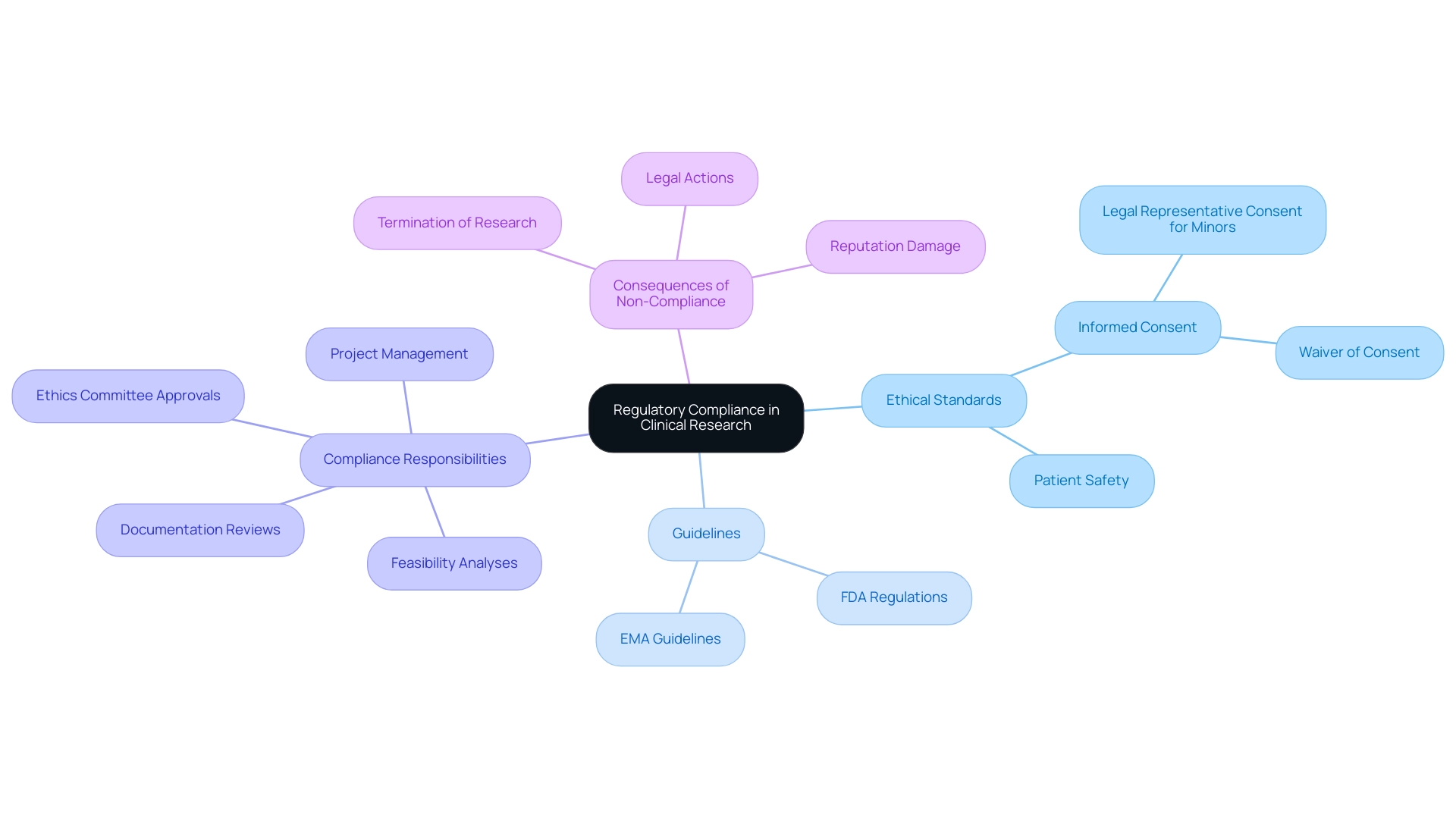 Each branch represents a key element of regulatory compliance, with colors differentiating the main topics and subcategories.