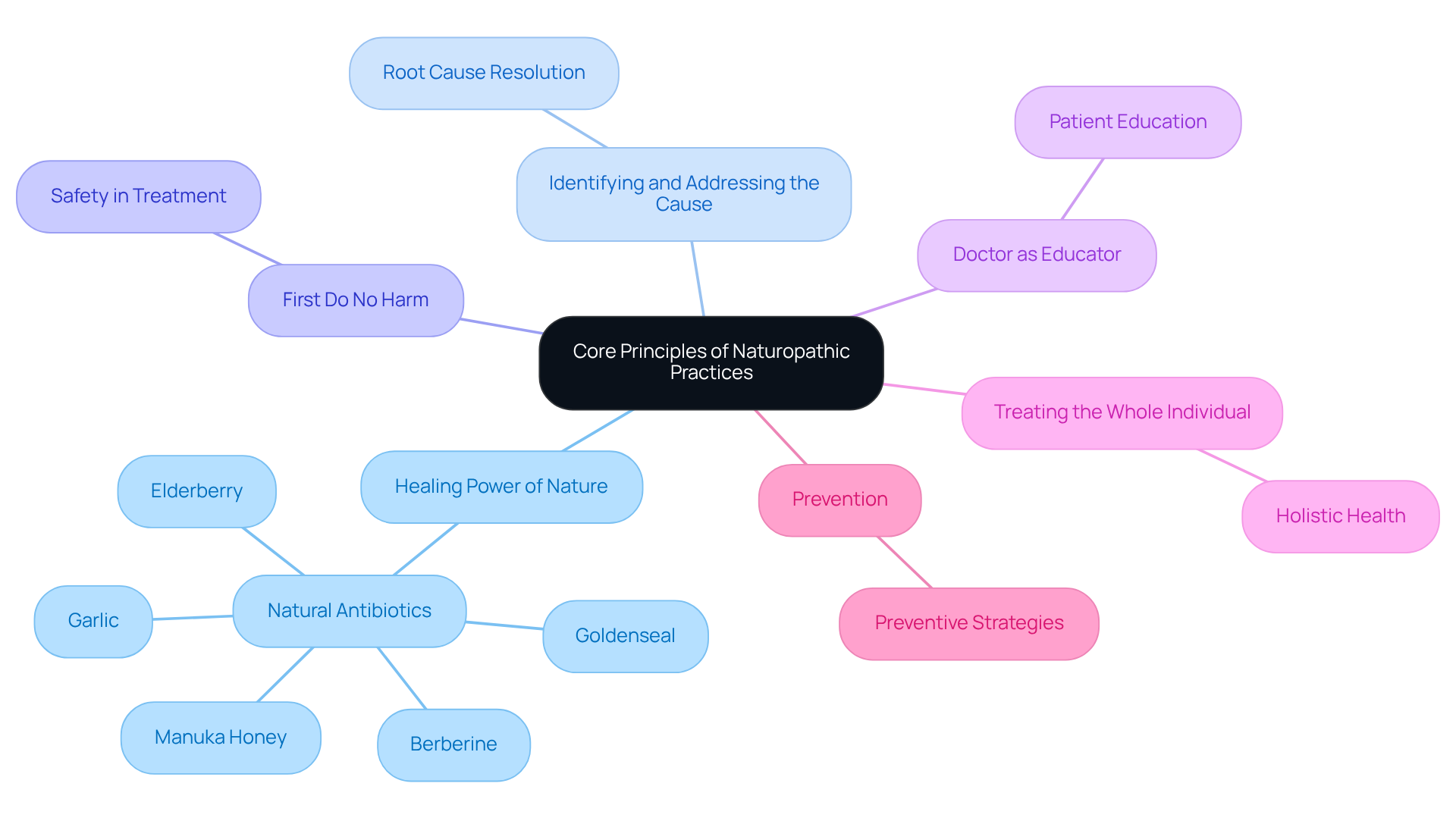 This mindmap starts with the main idea of naturopathic principles at the center. Each branch represents a fundamental principle, and you can explore further details by following the sub-branches. The colors help differentiate each principle, making it easier to understand how they connect to the holistic approach to health. This mindmap starts with the main idea of naturopathic principles at the center. Each branch represents a fundamental principle, and you can explore further details by following the sub-branches. The colors help differentiate each principle, making it easier to understand how they connect to the holistic approach to health.