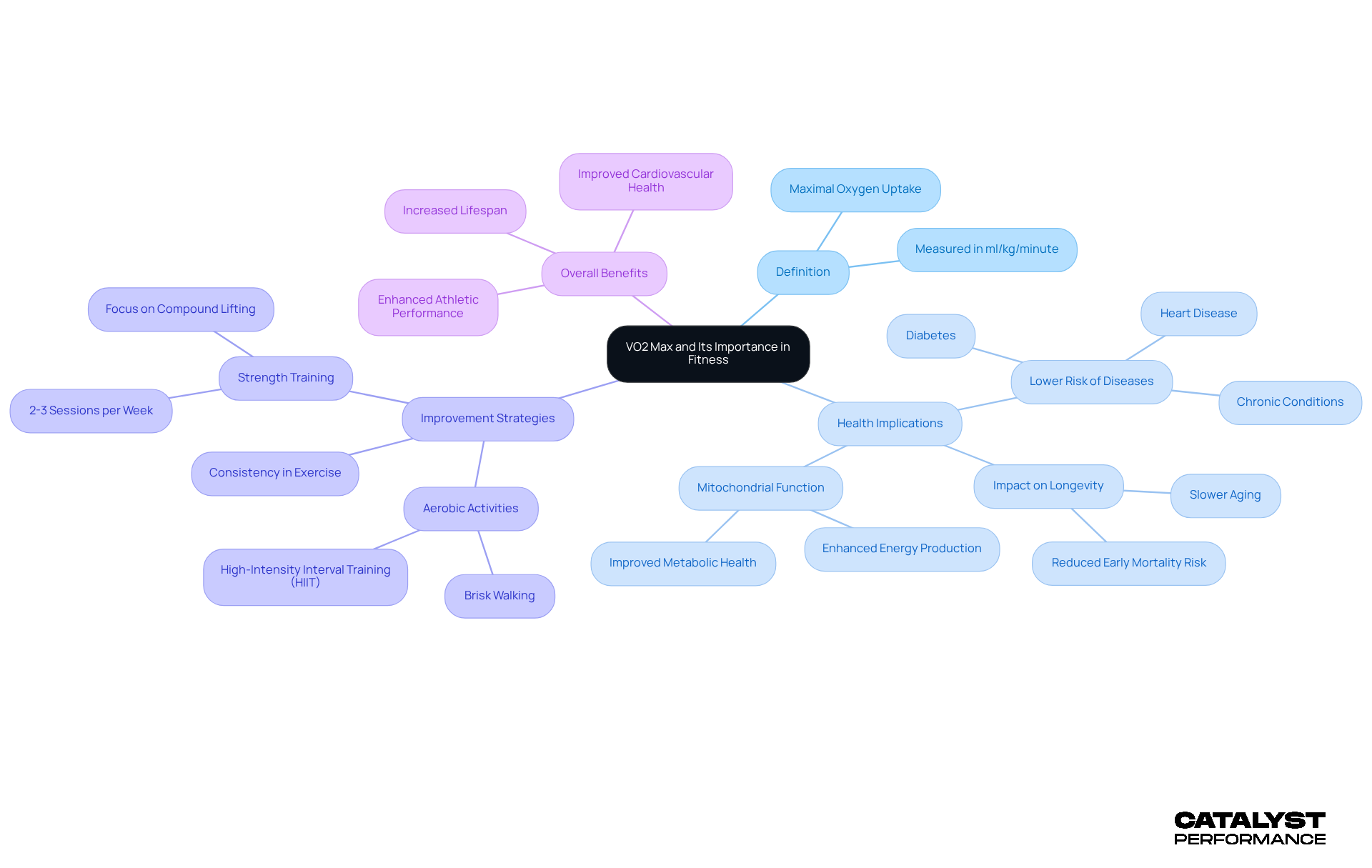 The center represents VO2 max, and the branches show its various aspects. Each branch highlights a different area of importance, helping you see how VO2 max affects your fitness and health. The center represents VO2 max, and the branches show its various aspects. Each branch highlights a different area of importance, helping you see how VO2 max affects your fitness and health.