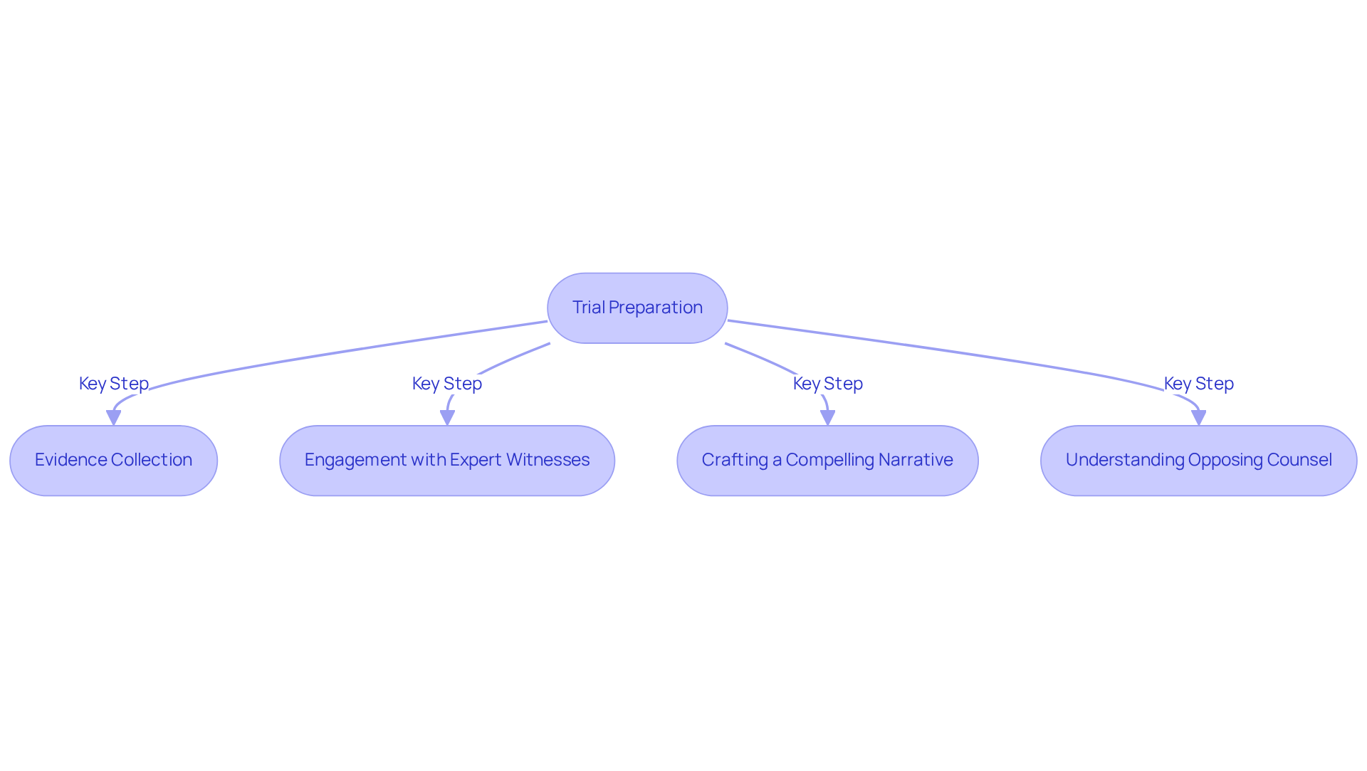 Each box represents a crucial step in preparing for a trial. Follow the arrows to see how these steps connect and contribute to a successful outcome.