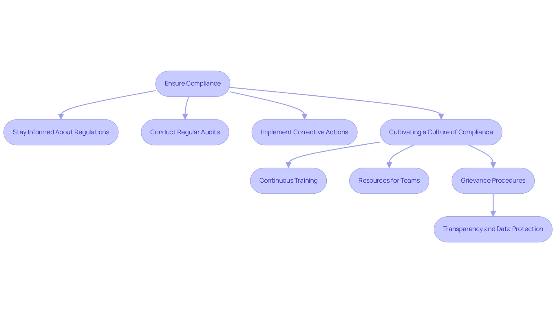 Follow the arrows to see how each step contributes to ensuring compliance. Each box represents an important action or concept, and the flowchart illustrates how they connect and support one another.