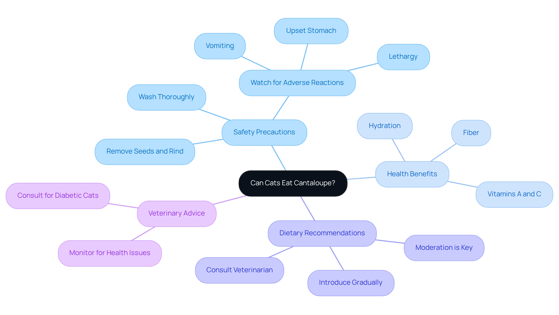 Start at the center with the question about cantaloupe. Follow the branches to see safety tips, health benefits, and what to discuss with your vet. This helps you understand how to safely share this fruit with your cat. Start at the center with the question about cantaloupe. Follow the branches to see safety tips, health benefits, and what to discuss with your vet. This helps you understand how to safely share this fruit with your cat.