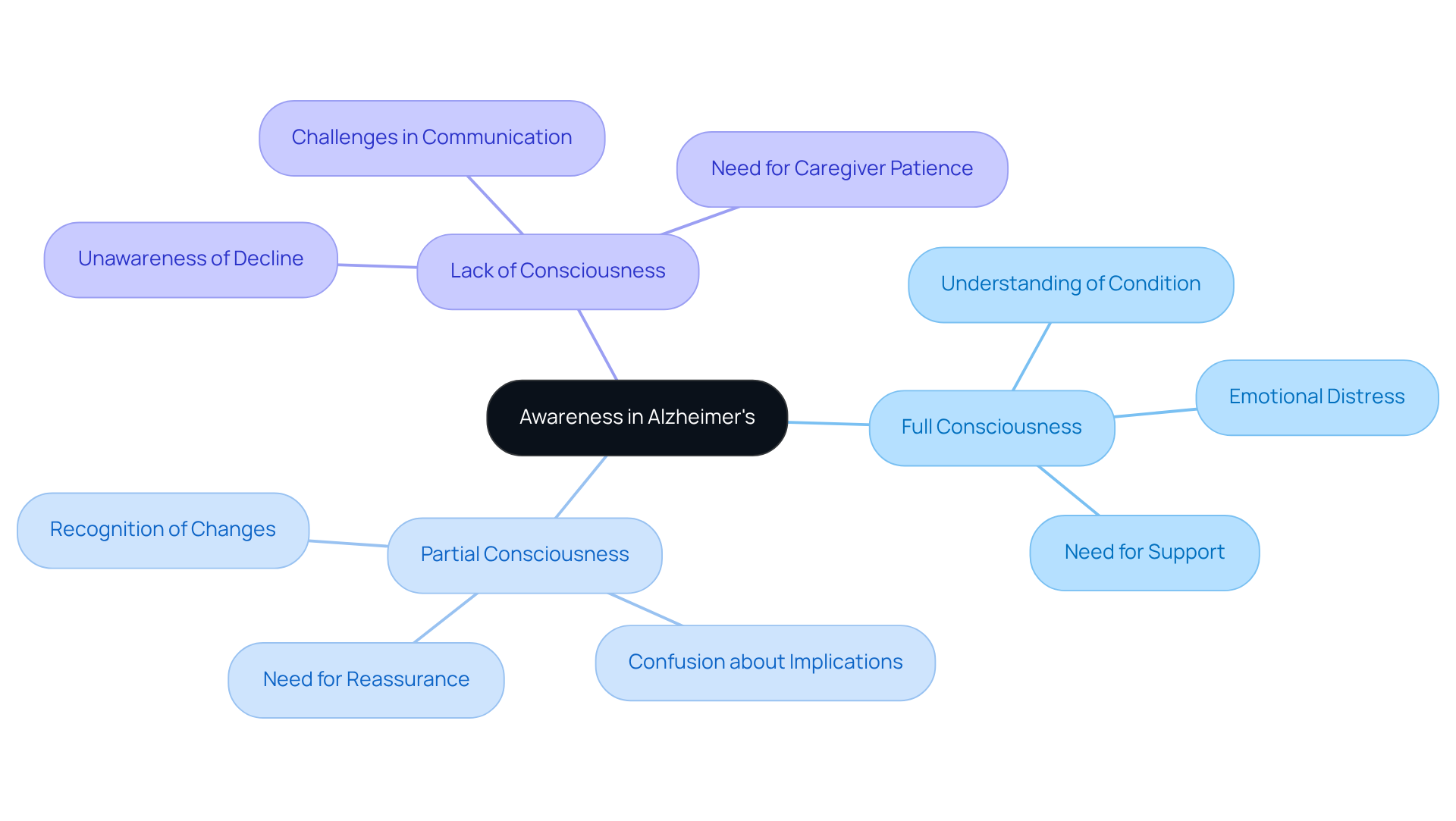 The center represents the overall theme of awareness levels. Each branch shows a specific type of consciousness, and the sub-branches detail the unique challenges caregivers may encounter for each type. The center represents the overall theme of awareness levels. Each branch shows a specific type of consciousness, and the sub-branches detail the unique challenges caregivers may encounter for each type.