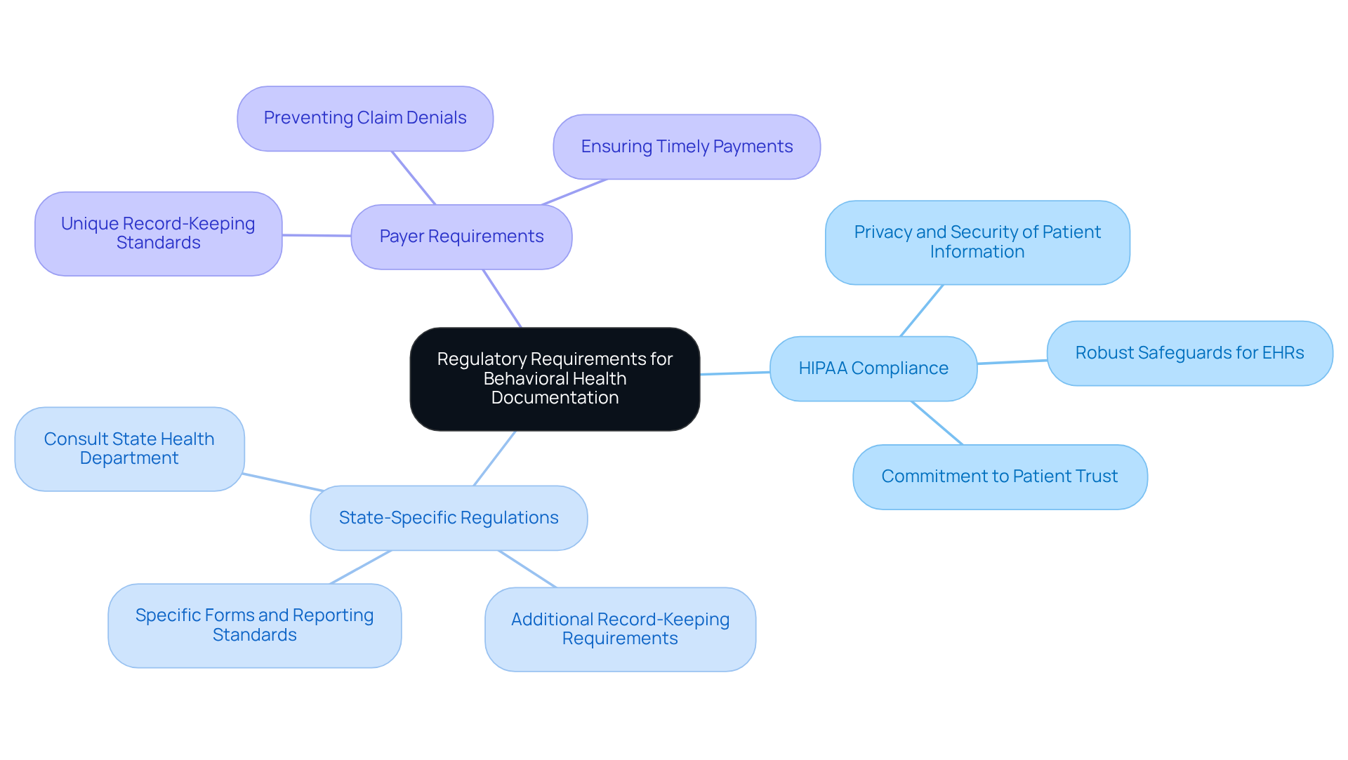 The center represents the main topic of regulatory requirements. Each branch shows a key area of focus, with further details branching out to explain what providers need to consider in each category.