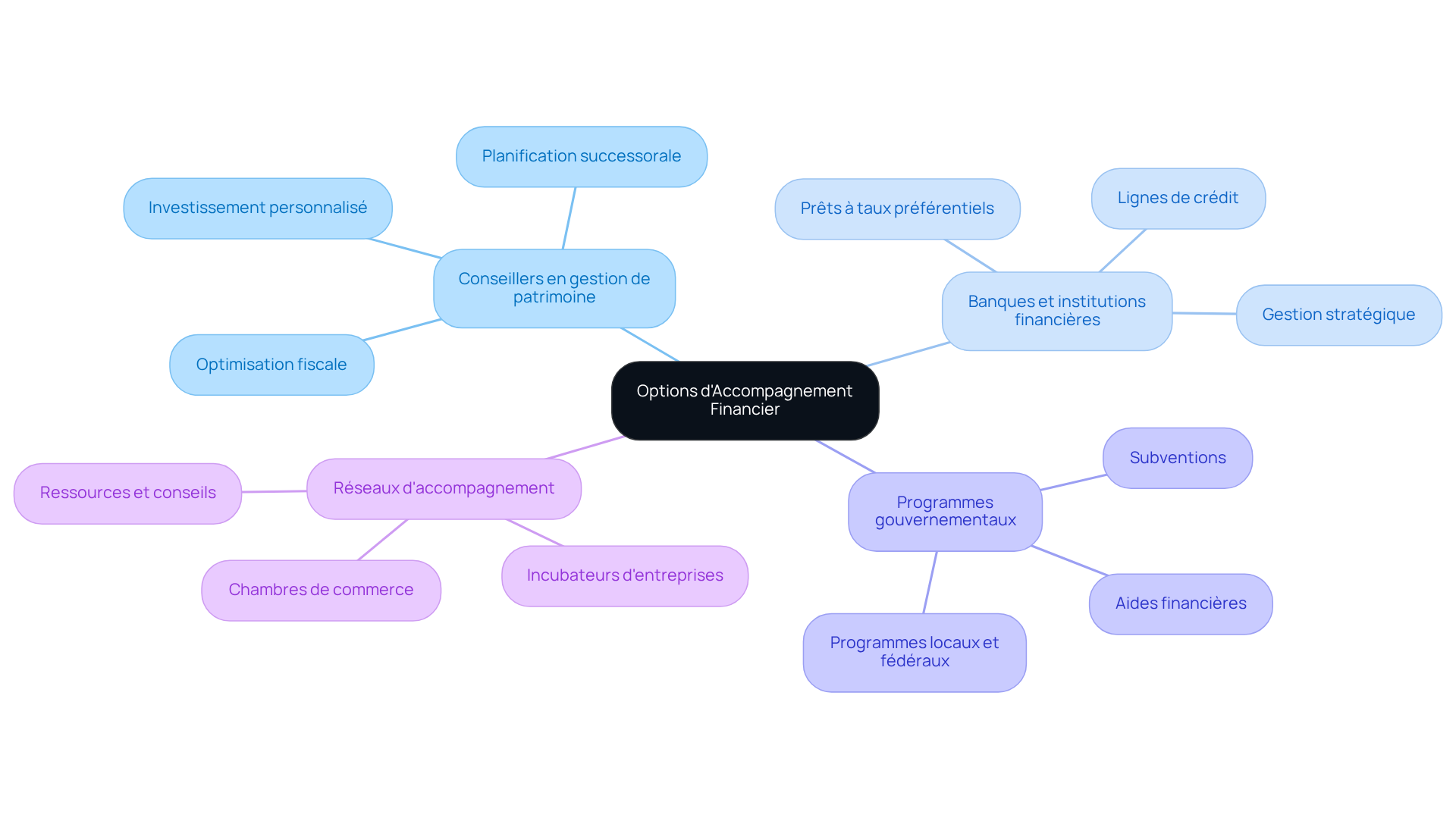 Au centre, vous trouverez le thème principal. Suivez les branches pour explorer chaque option d'accompagnement financier et ses caractéristiques.
