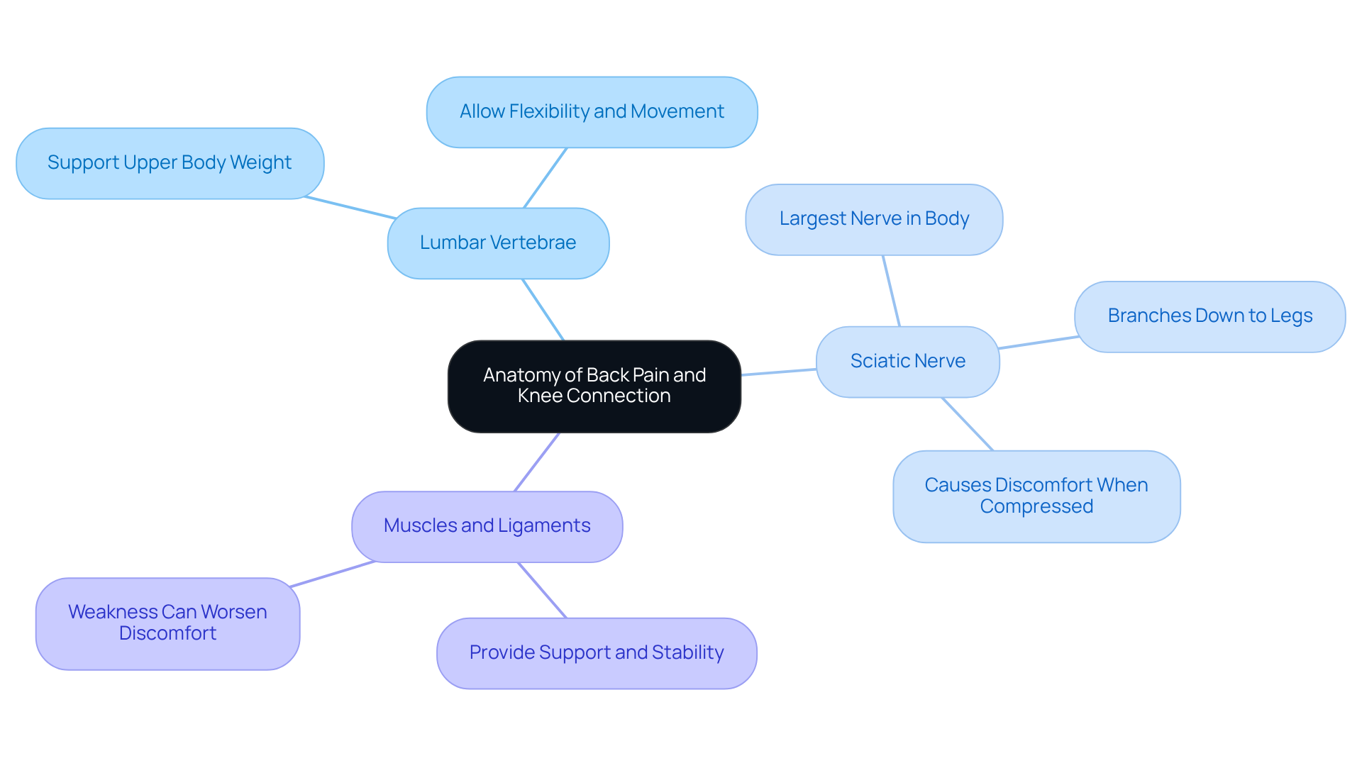 This mindmap illustrates how different parts of the body relate to back pain and knee issues. Start at the center with the main topic, then explore each branch to see how the lumbar vertebrae, sciatic nerve, and supporting muscles and ligaments contribute to your discomfort.