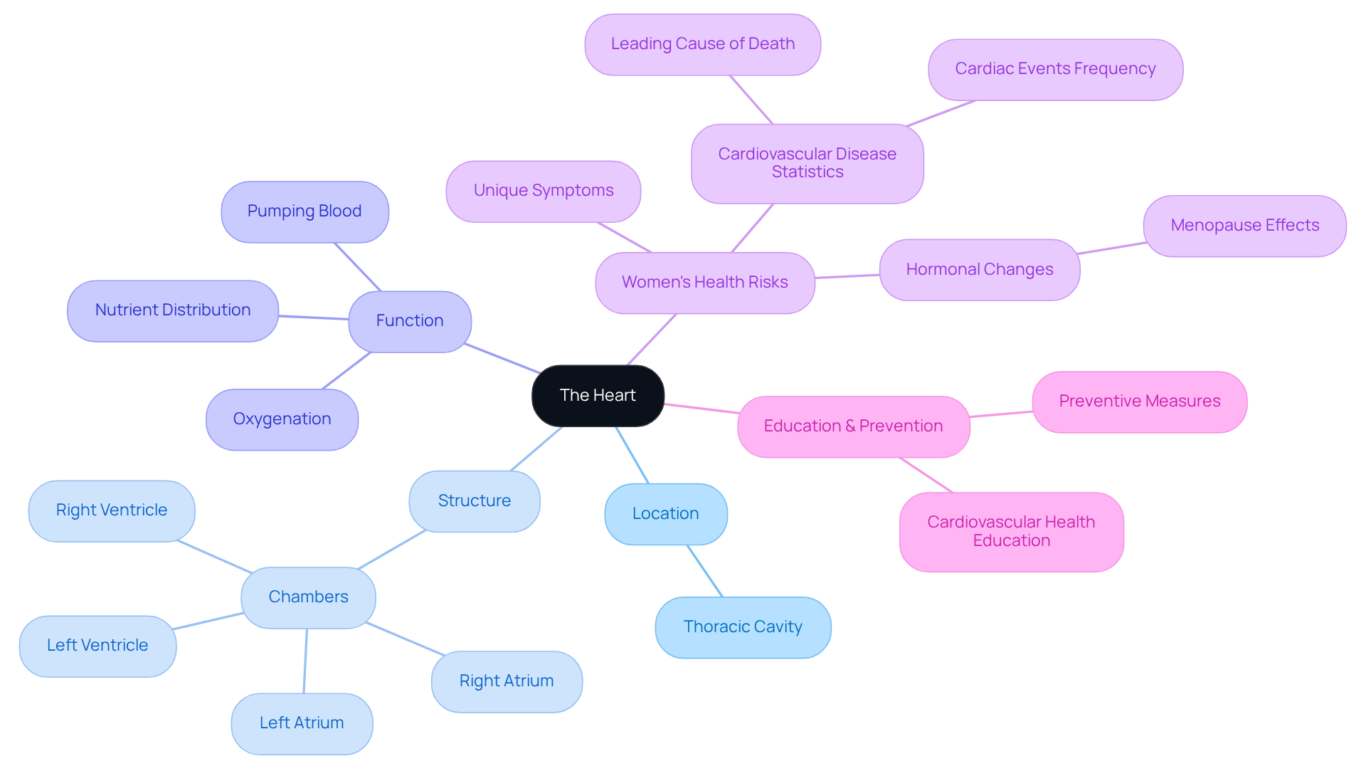The central node represents the heart, while the branches show its location, structure, functions, and specific health concerns for women. Each color-coded branch helps you navigate through the information easily. The central node represents the heart, while the branches show its location, structure, functions, and specific health concerns for women. Each color-coded branch helps you navigate through the information easily.