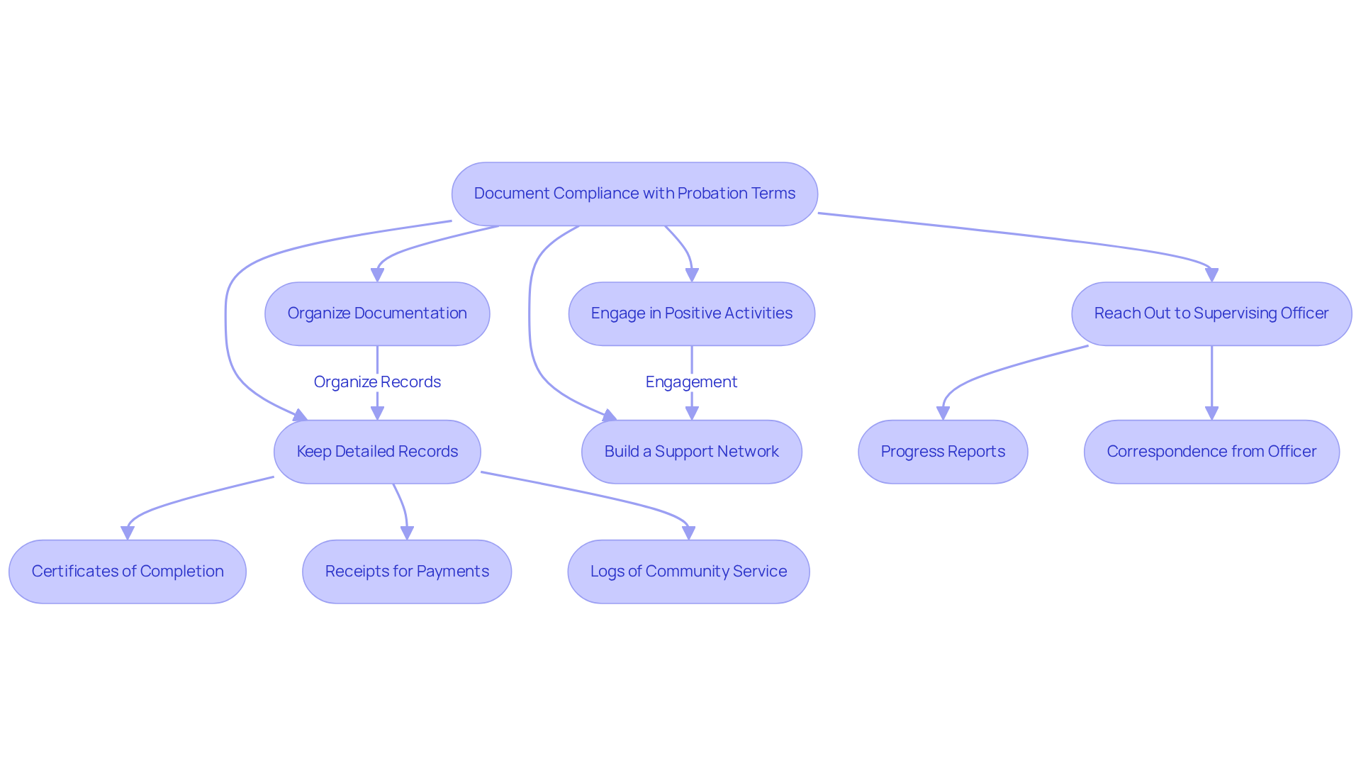 This flowchart guides you through the essential steps for managing your probation documentation and support. Each box represents a key action, and the arrows show how these actions connect to help you stay organized and focused on your goals.