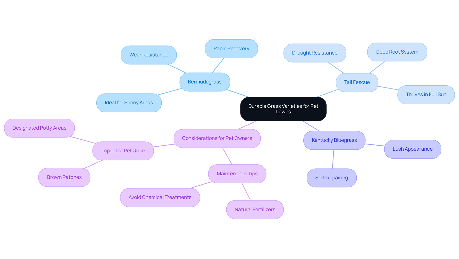 This mindmap shows different grass types suitable for pet lawns. Each branch represents a grass variety, and the sub-branches explain why they are good choices. Follow the branches to see how each type can help create a healthy and attractive lawn for your pets. This mindmap shows different grass types suitable for pet lawns. Each branch represents a grass variety, and the sub-branches explain why they are good choices. Follow the branches to see how each type can help create a healthy and attractive lawn for your pets.