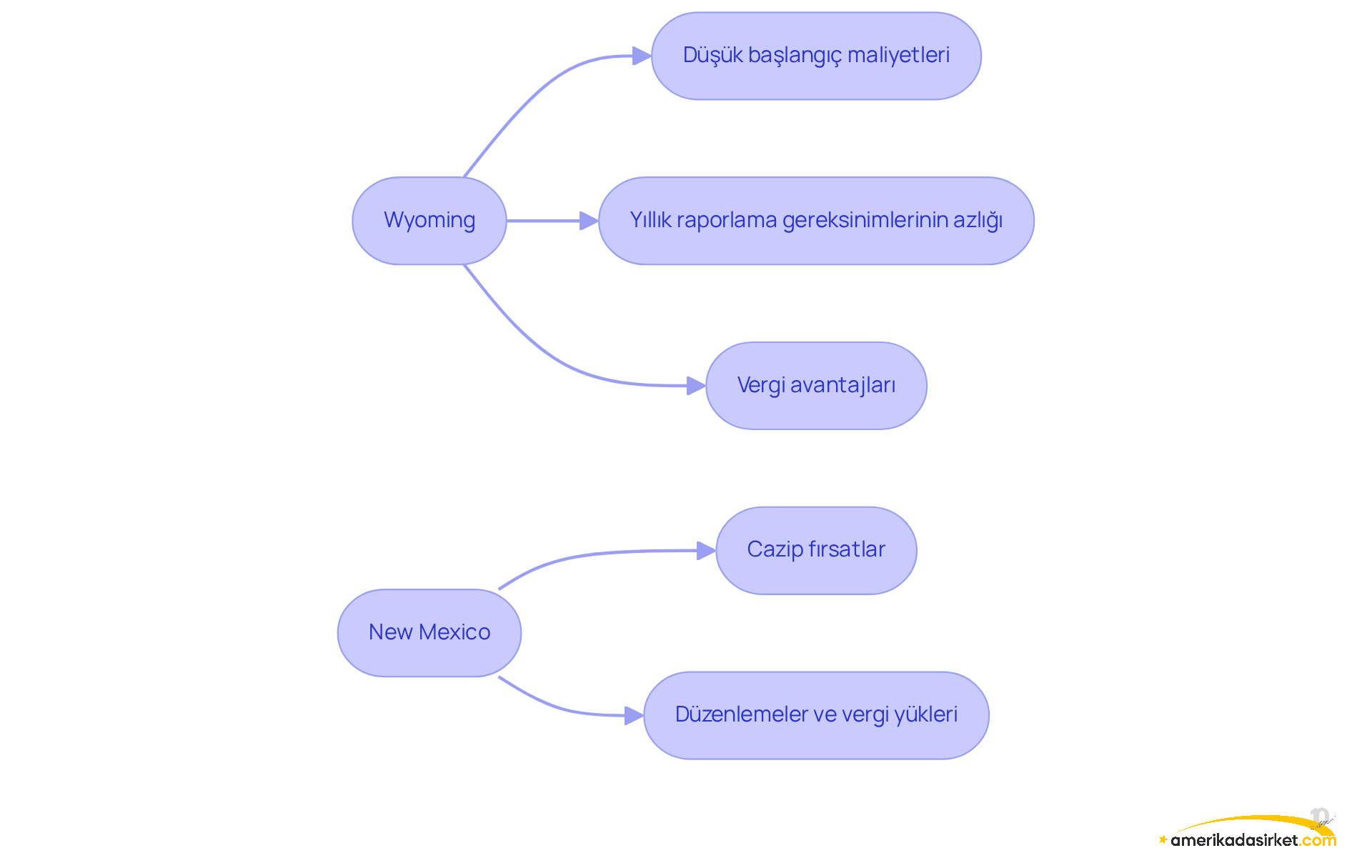 Bu akış diyagramında, Wyoming ve New Mexico'daki iş kurma fırsatlarını karşılaştırıyoruz. Her kutu, bir eyaletin sunduğu belirli bir avantajı veya dezavantajı temsil ediyor. Oklar, hangi özelliklerin hangi eyaletle ilişkili olduğunu gösteriyor.