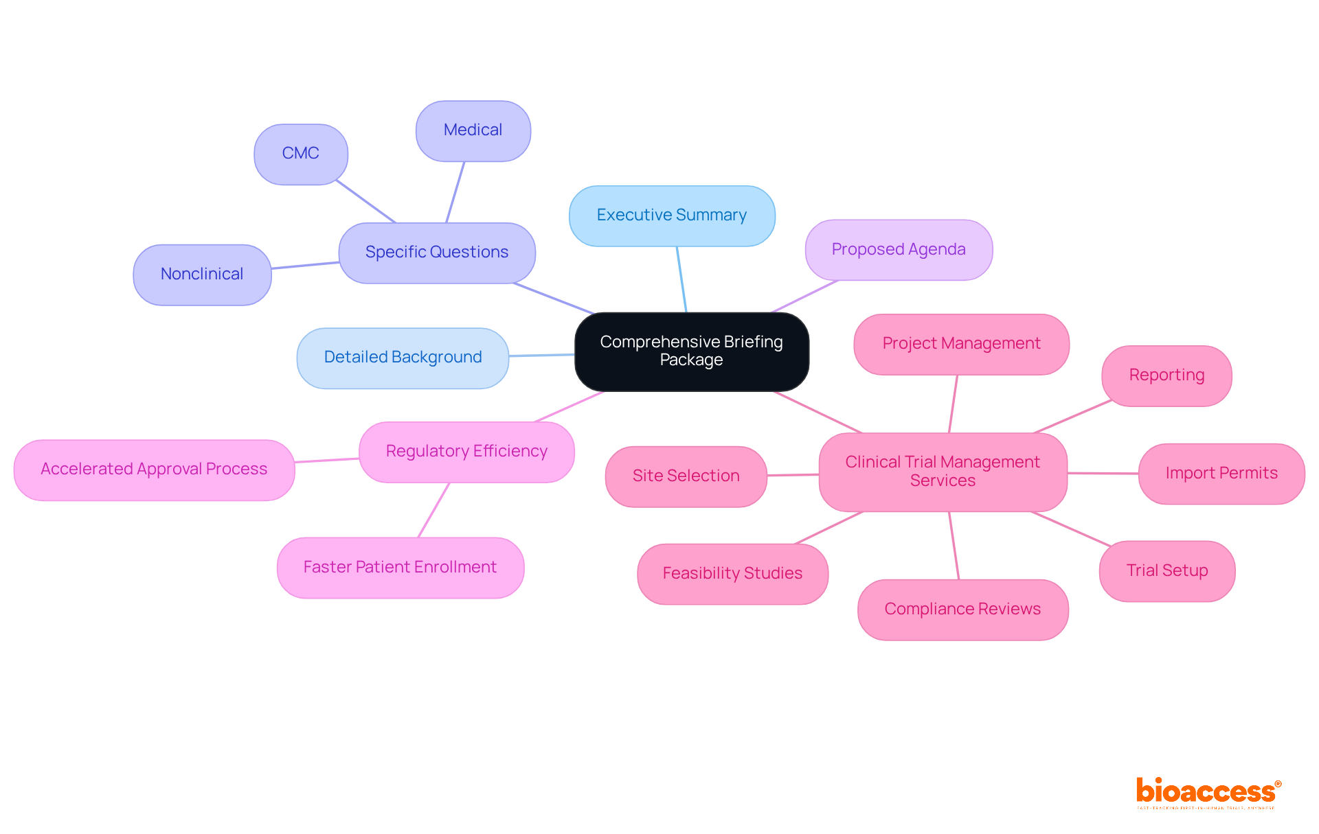 The center shows the main topic, and the branches illustrate each essential part of the briefing package. Follow the branches to explore each component's details and understand how they contribute to the overall purpose.