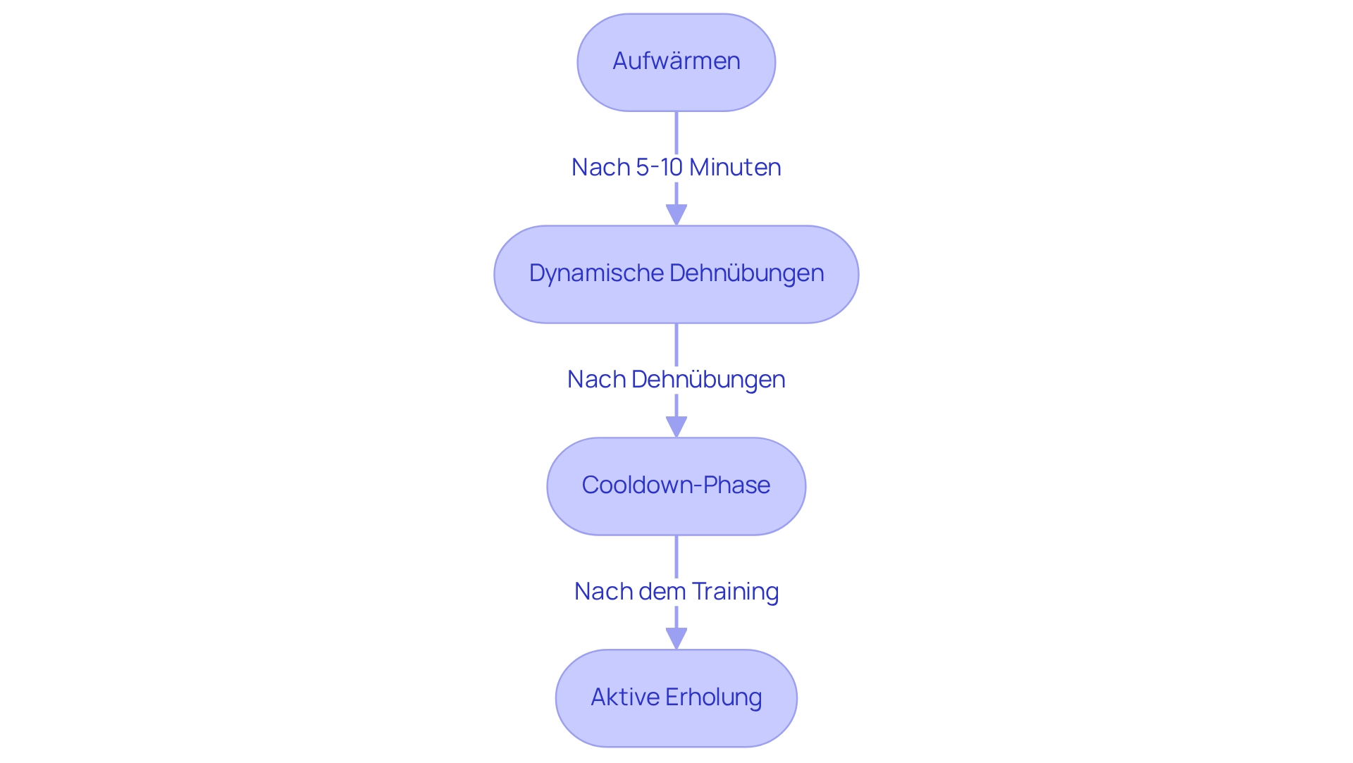 Jede Box repräsentiert eine Phase des Prozesses: Aufwärmen, Dynamische Dehnübungen, Cooldown-Phase und Aktive Erholung. Die Pfeile zeigen die Reihenfolge der Schritte an.