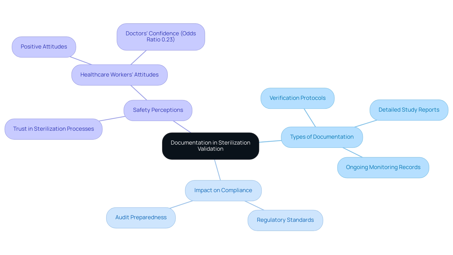 Each branch represents a key aspect of documentation in sterilization validation, with subcategories detailing specific elements and their impacts.