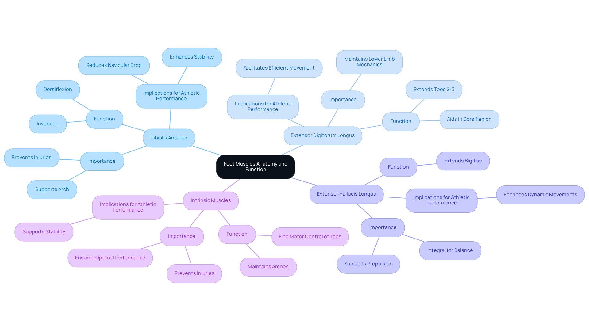 The central node represents the overall topic of foot muscles. Each branch represents a specific muscle, and the sub-nodes provide details about their functions and significance. This layout helps you understand how each muscle contributes to movement and stability.