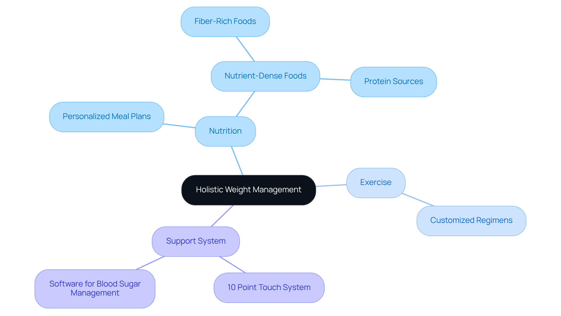 Start at the center with the holistic approach, then explore how nutrition, exercise, and support work together to help you achieve sustainable weight loss.