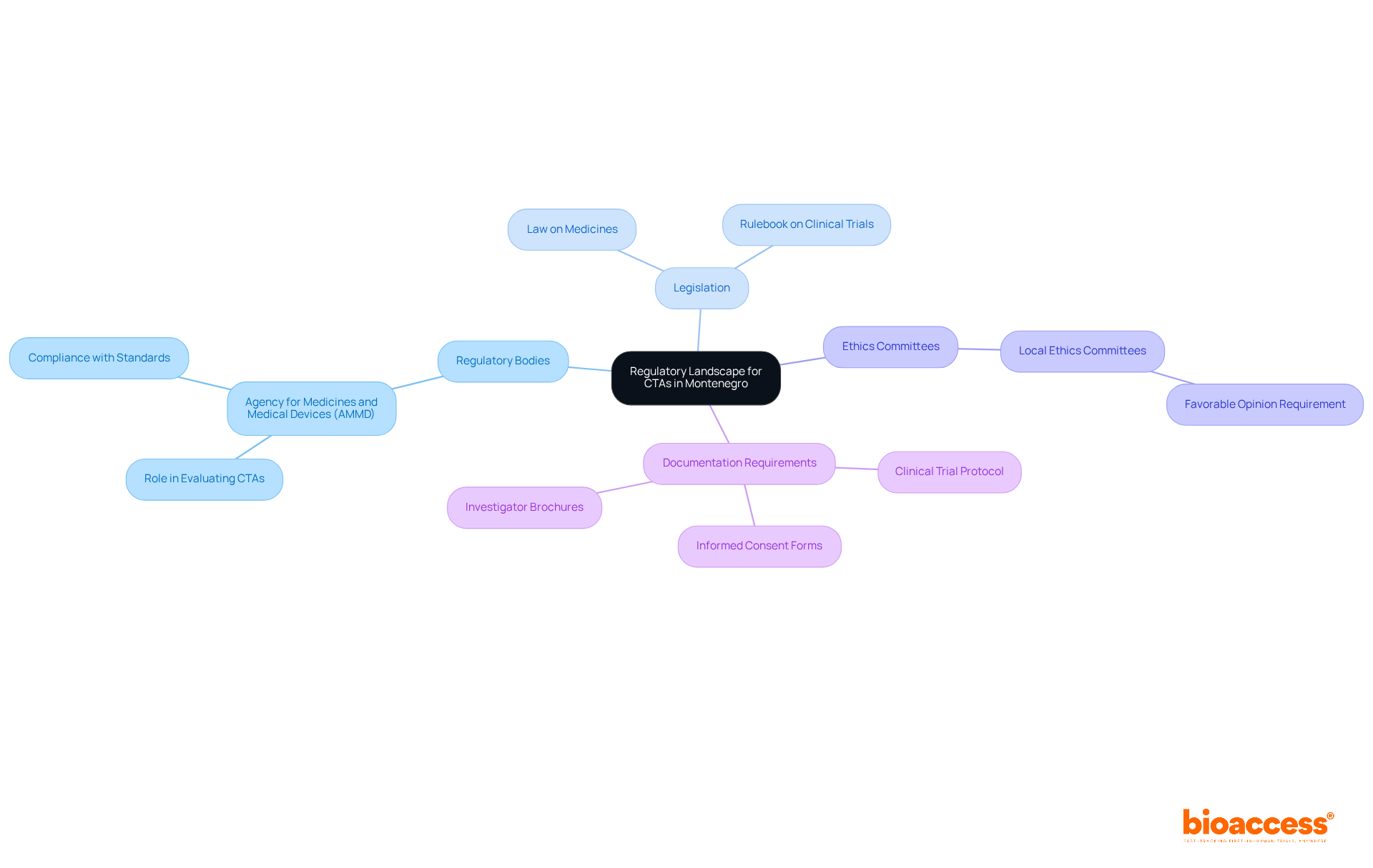 Start at the center with the main topic, then explore each branch to understand the key components of the regulatory landscape. Each color-coded branch represents a different aspect of the CTA process, helping you see how they connect and contribute to the overall framework.