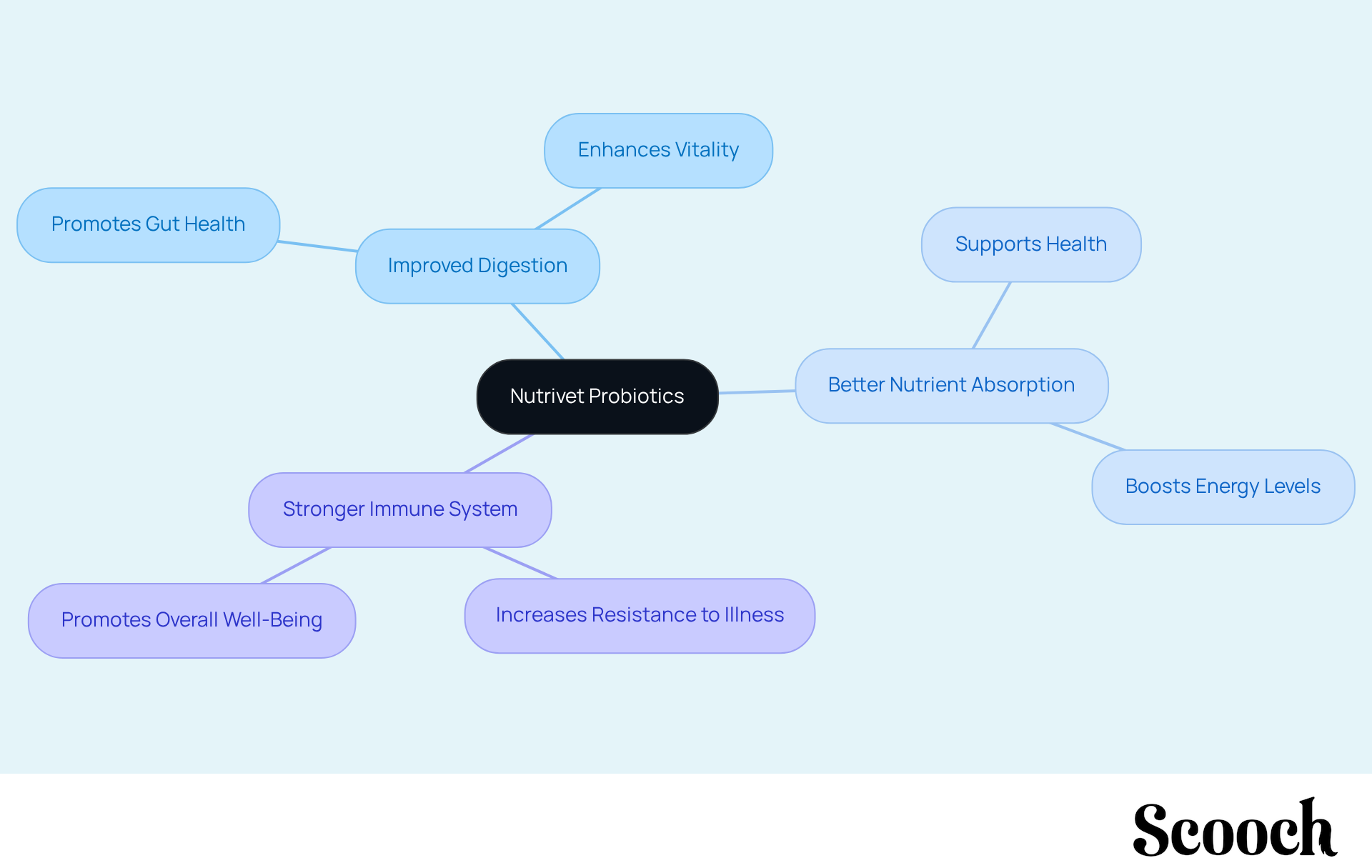 At the center, you'll find Nutrivet Probiotics, with branches showing different ways these supplements improve your dog's health. Each branch represents a key benefit, making it easy to see how Nutrivet contributes to your pet's well-being.