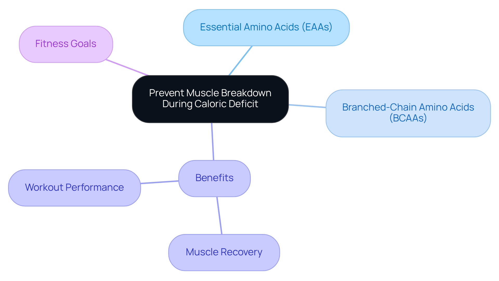 This mindmap shows how EAAs and BCAAs help protect your muscles during weight loss. Start at the center with the main idea, then explore how these amino acids contribute to recovery and performance, helping you stay on track with your fitness goals.