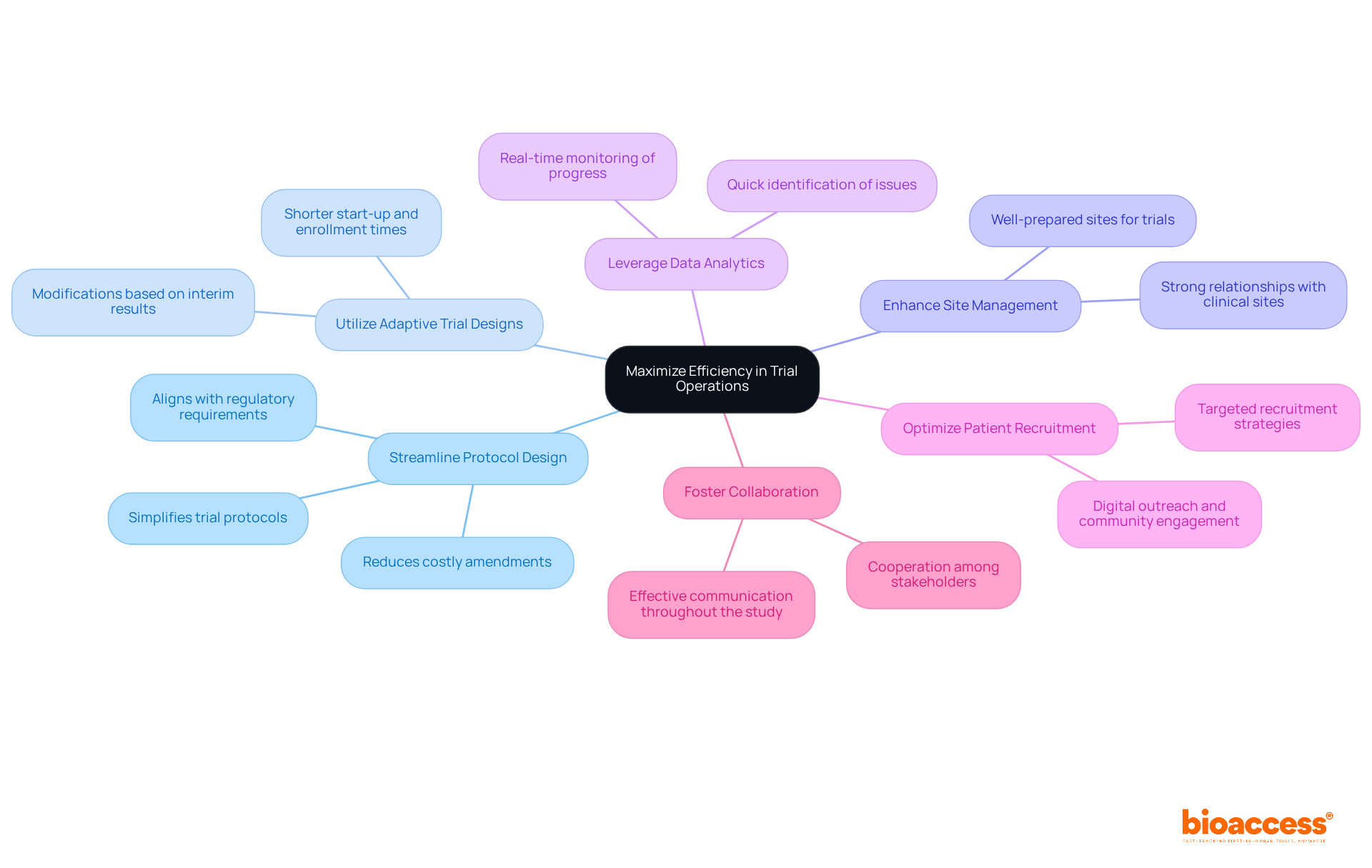 The central node represents the main goal of maximizing efficiency, while each branch shows a specific strategy. Follow the branches to explore how each strategy contributes to improving trial operations.